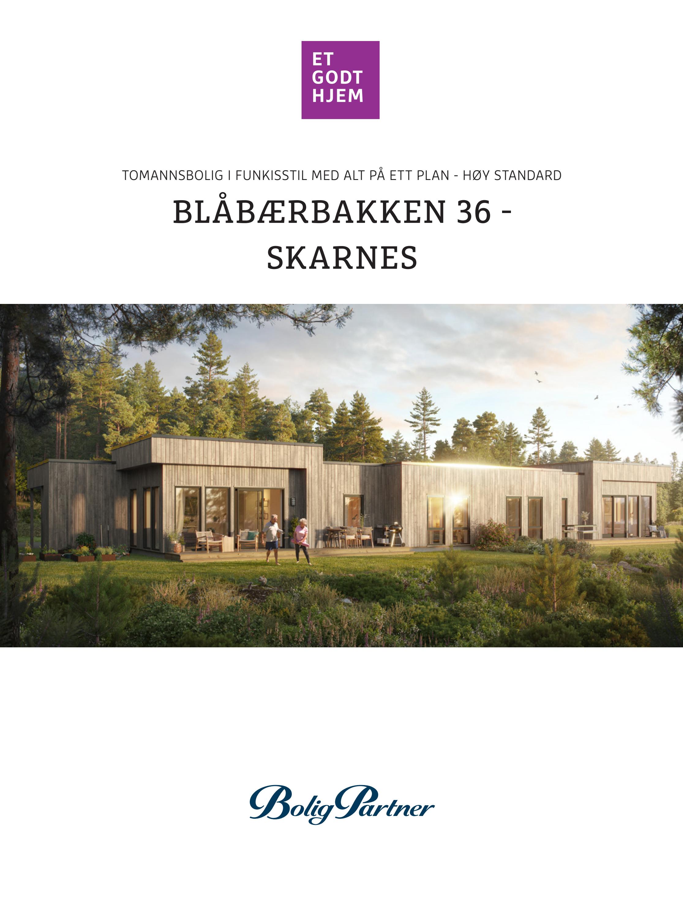Blåbærbakken 36, Skarnes by BoligPartner - Issuu