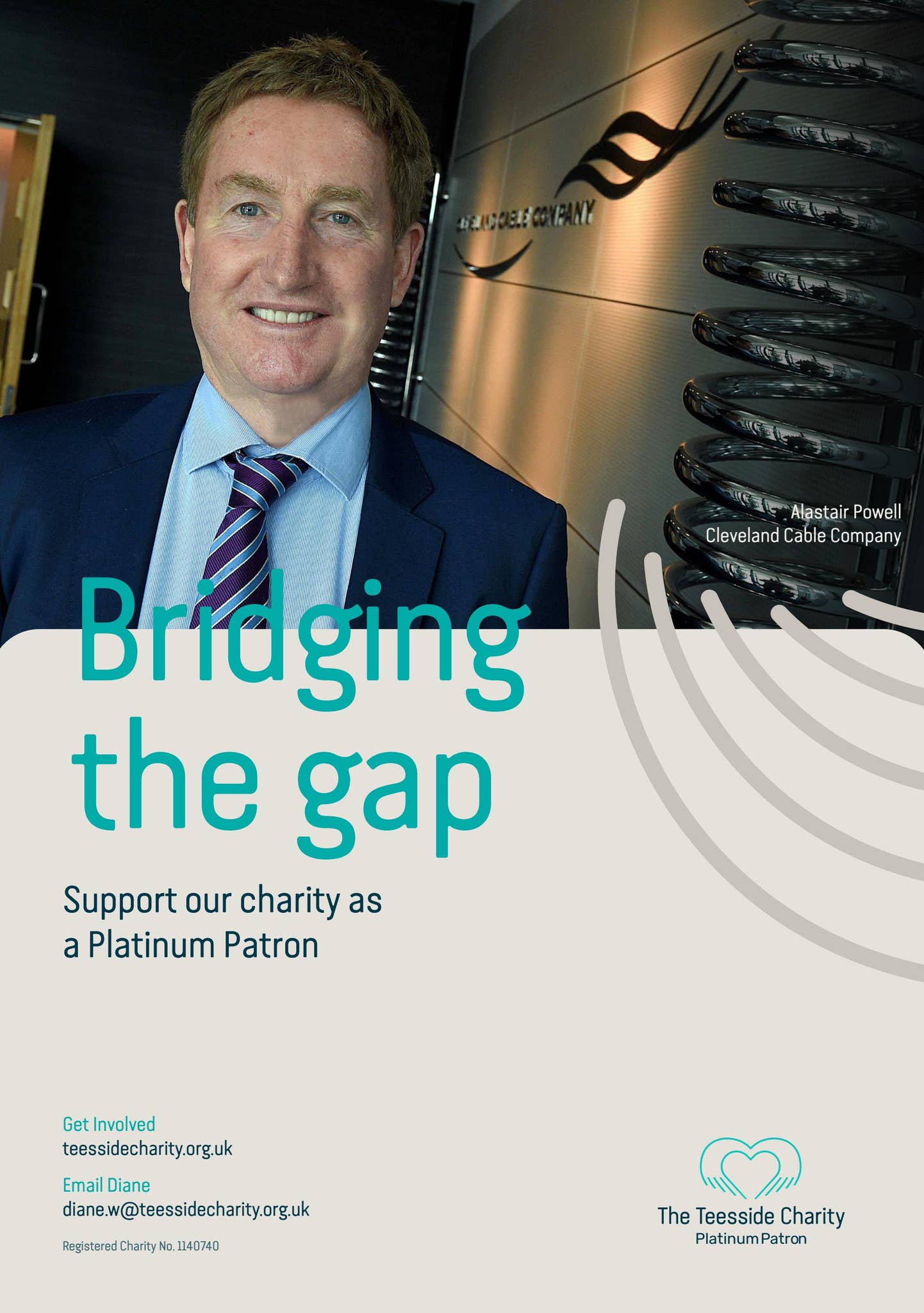 Platinum Patron leaflet by Diane Williamson - Issuu