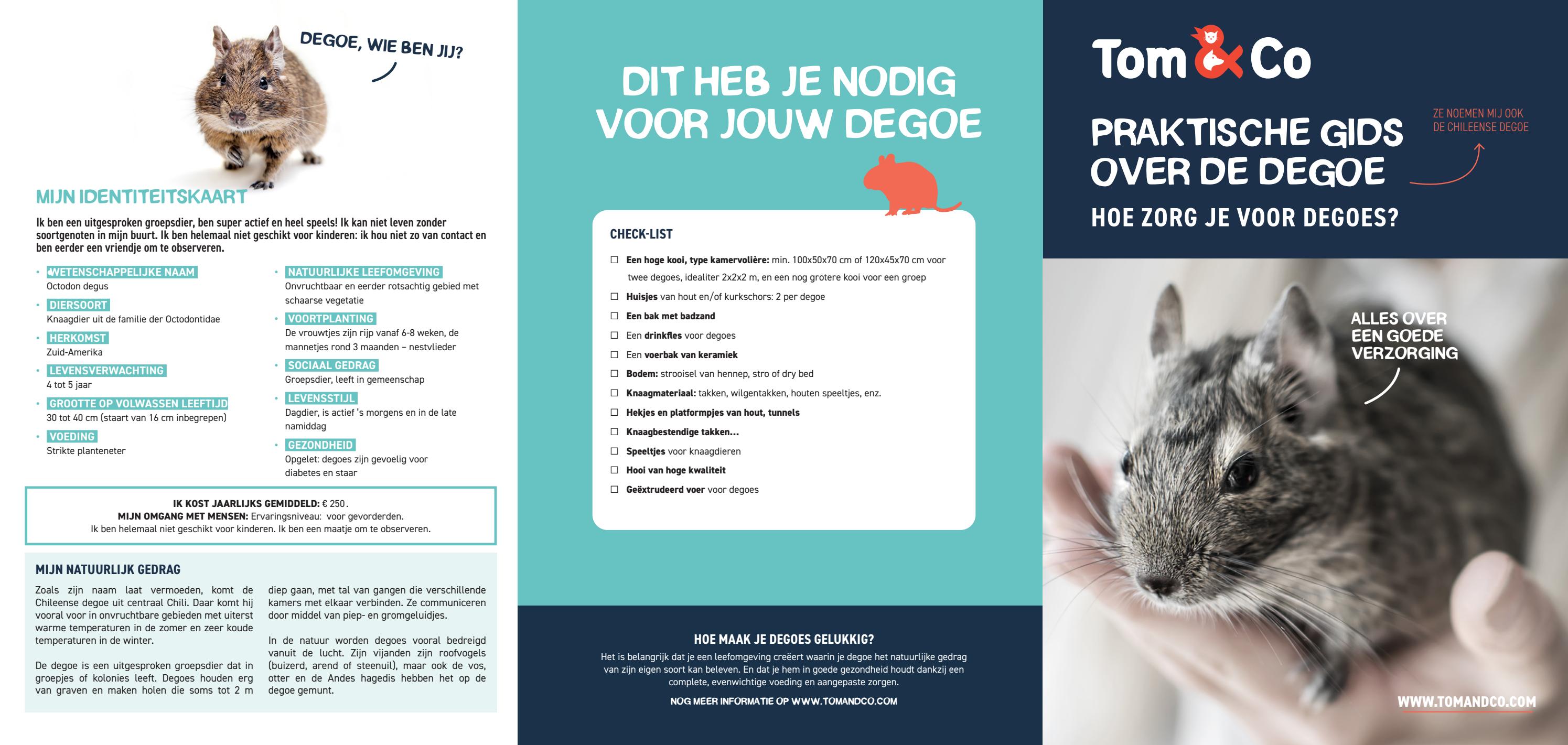 Praktische gids - Kleine zoogdieren - Degoe - BENL by tomandco6 - Issuu