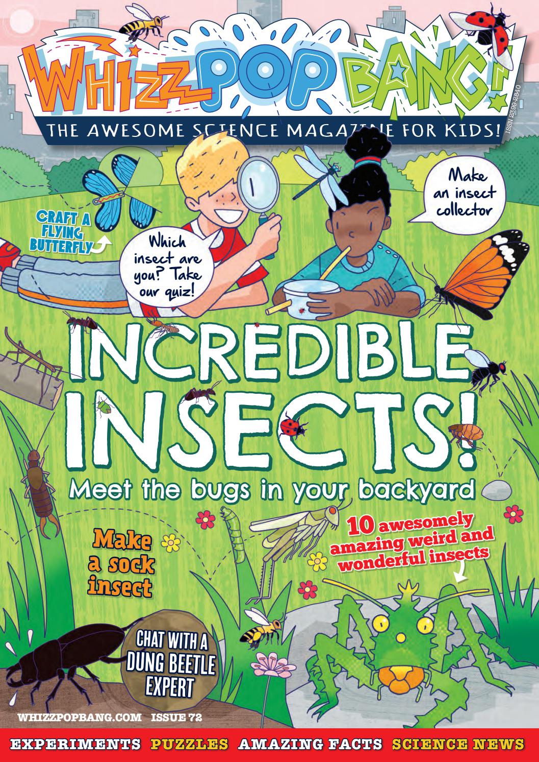 Whizz Pop Bang Science Magazine for Kids! Issue 72: INCREDIBLE INSECTS ...