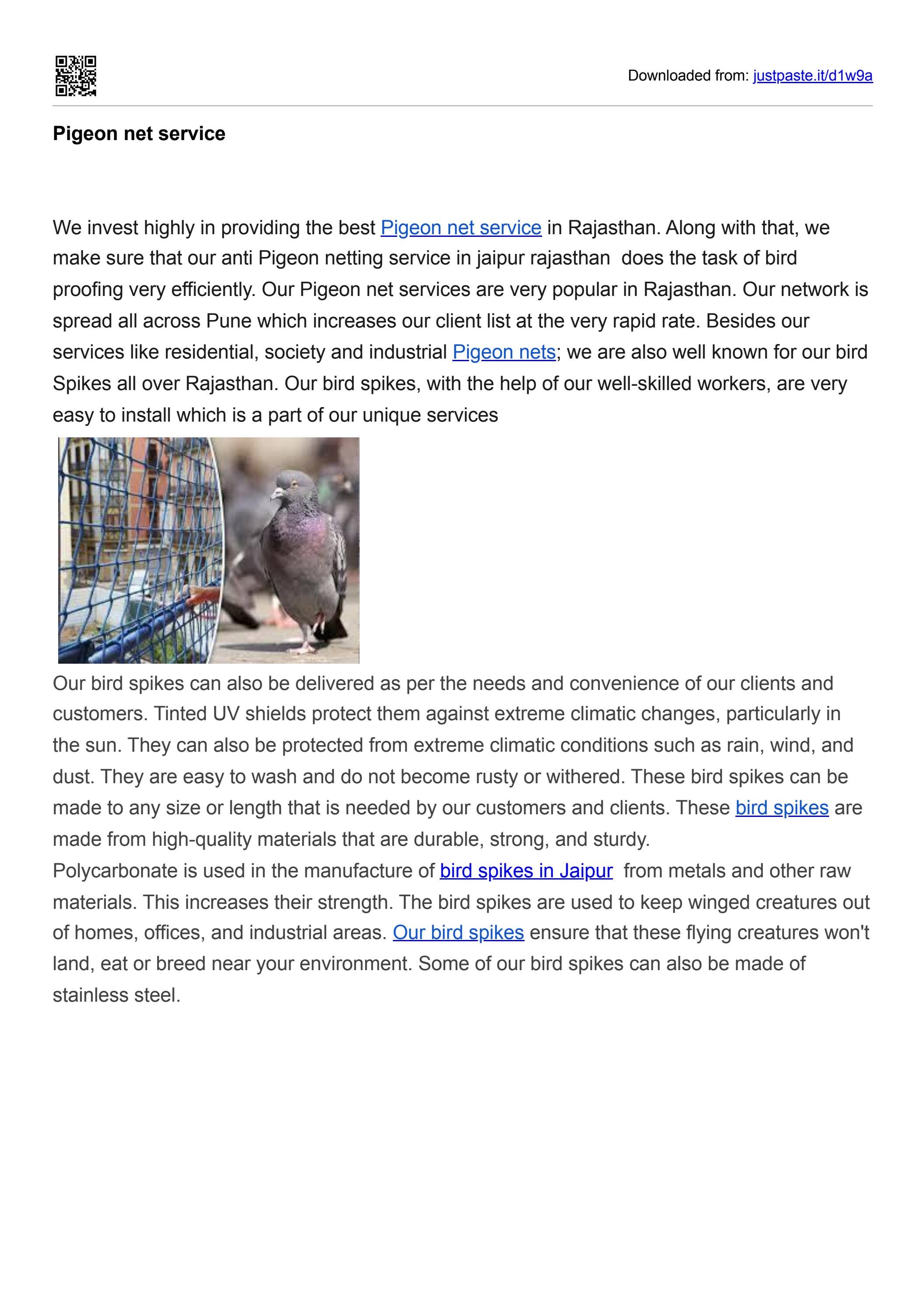 Pigeon net service | Bird net service provider by pigeon netservice - Issuu