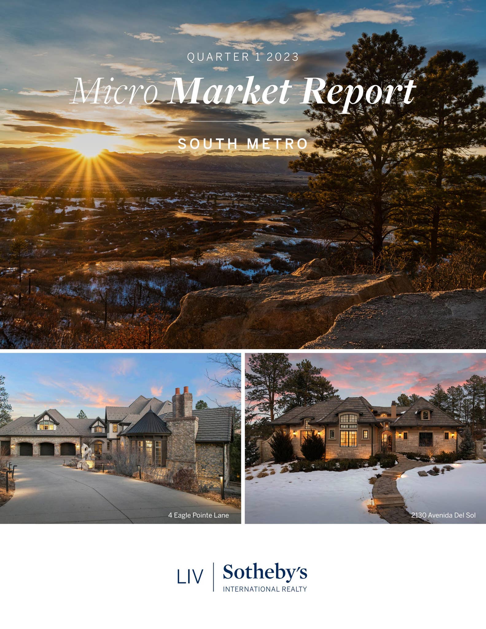 South Metro Micro Market Report | Q1 2023 by LIV Sotheby's ...