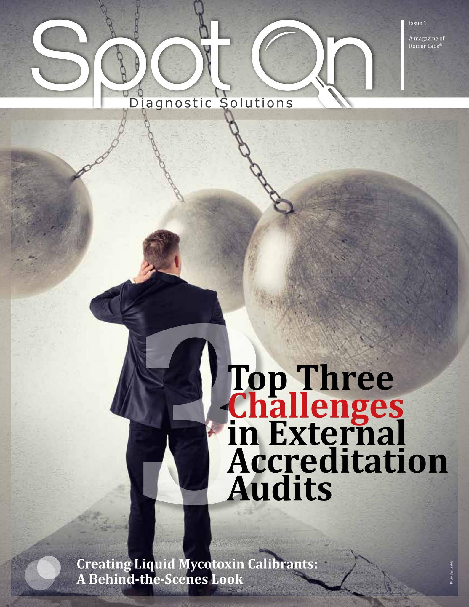 Spot On: Challenges in External Accreditation Audits by romer-labs - Issuu