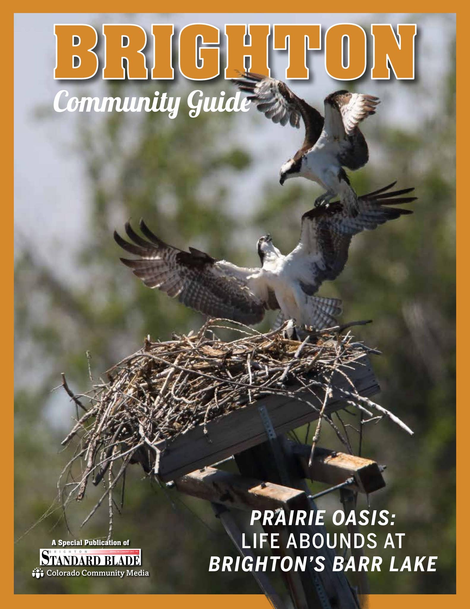 Brighton Community Guide 2023 by Colorado Community Media - Issuu