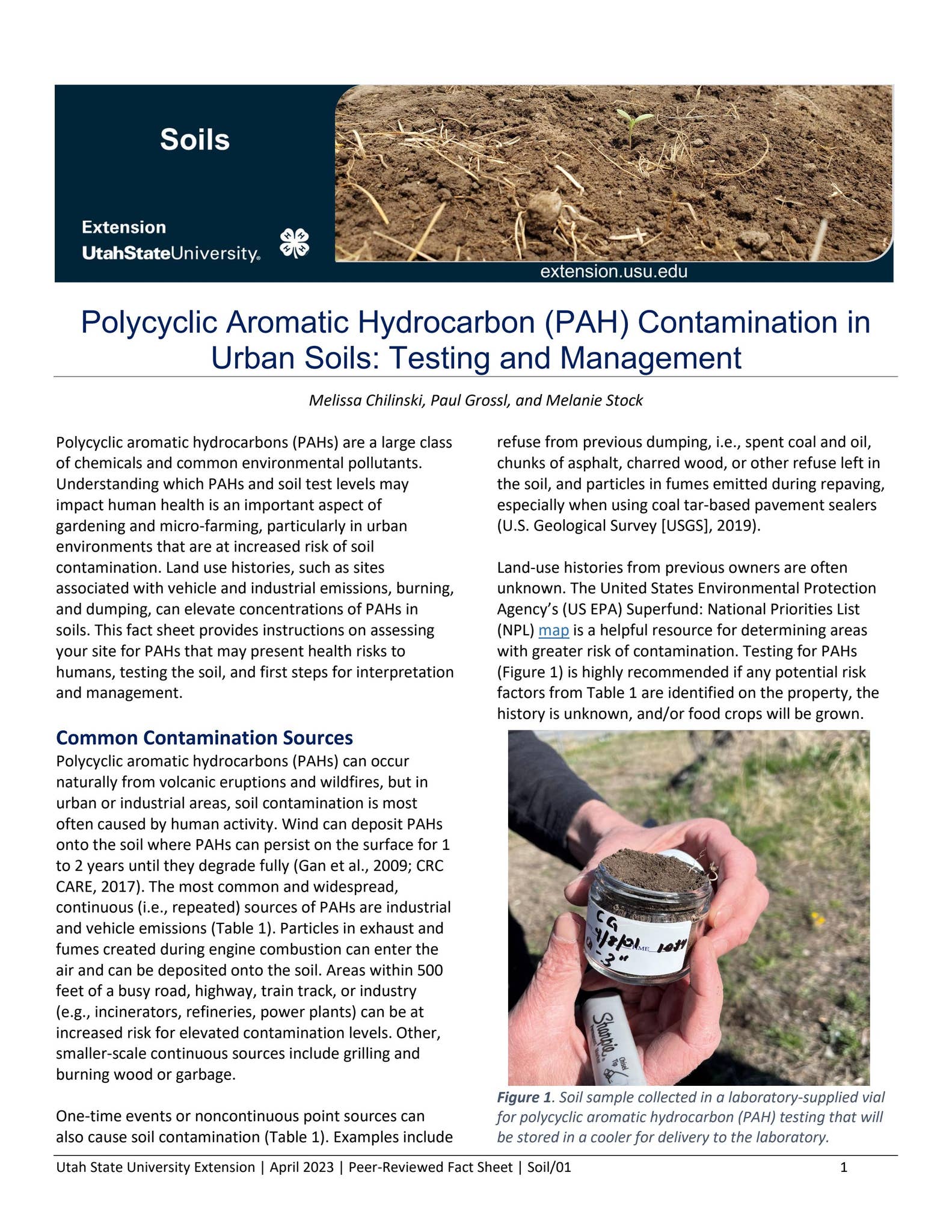 Polycyclic Aromatic Hydrocarbon (PAH) Contamination in Urban Soils ...