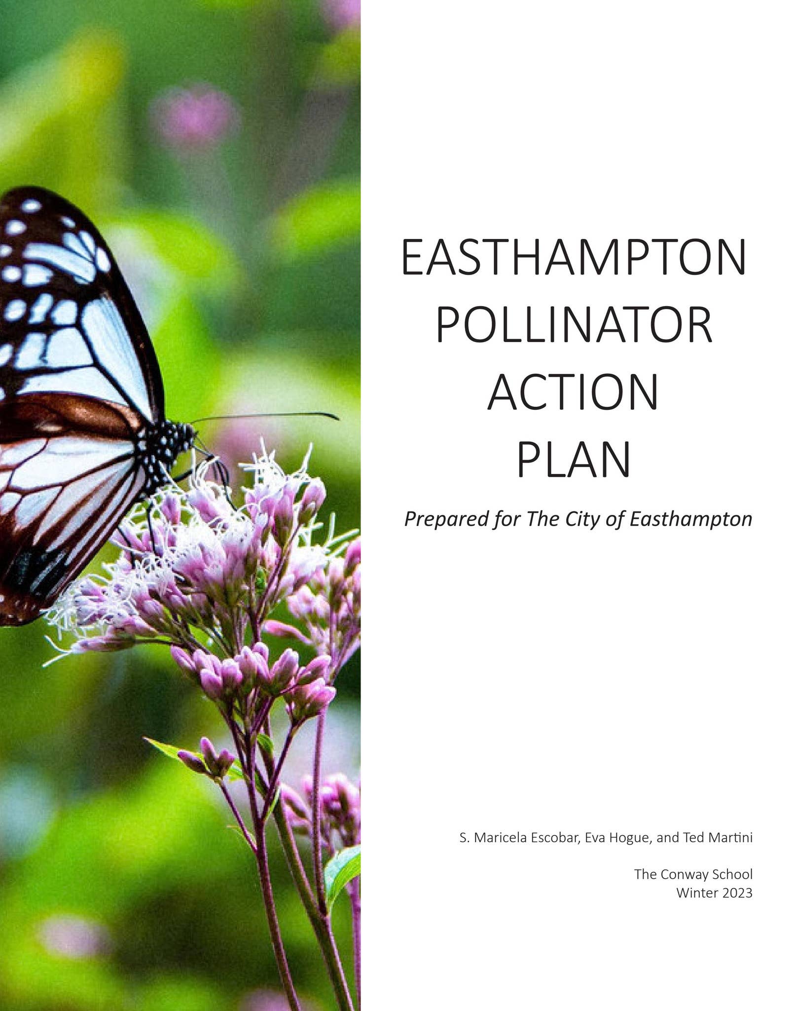 Easthampton Pollinator Action Plan by The Conway School - Issuu