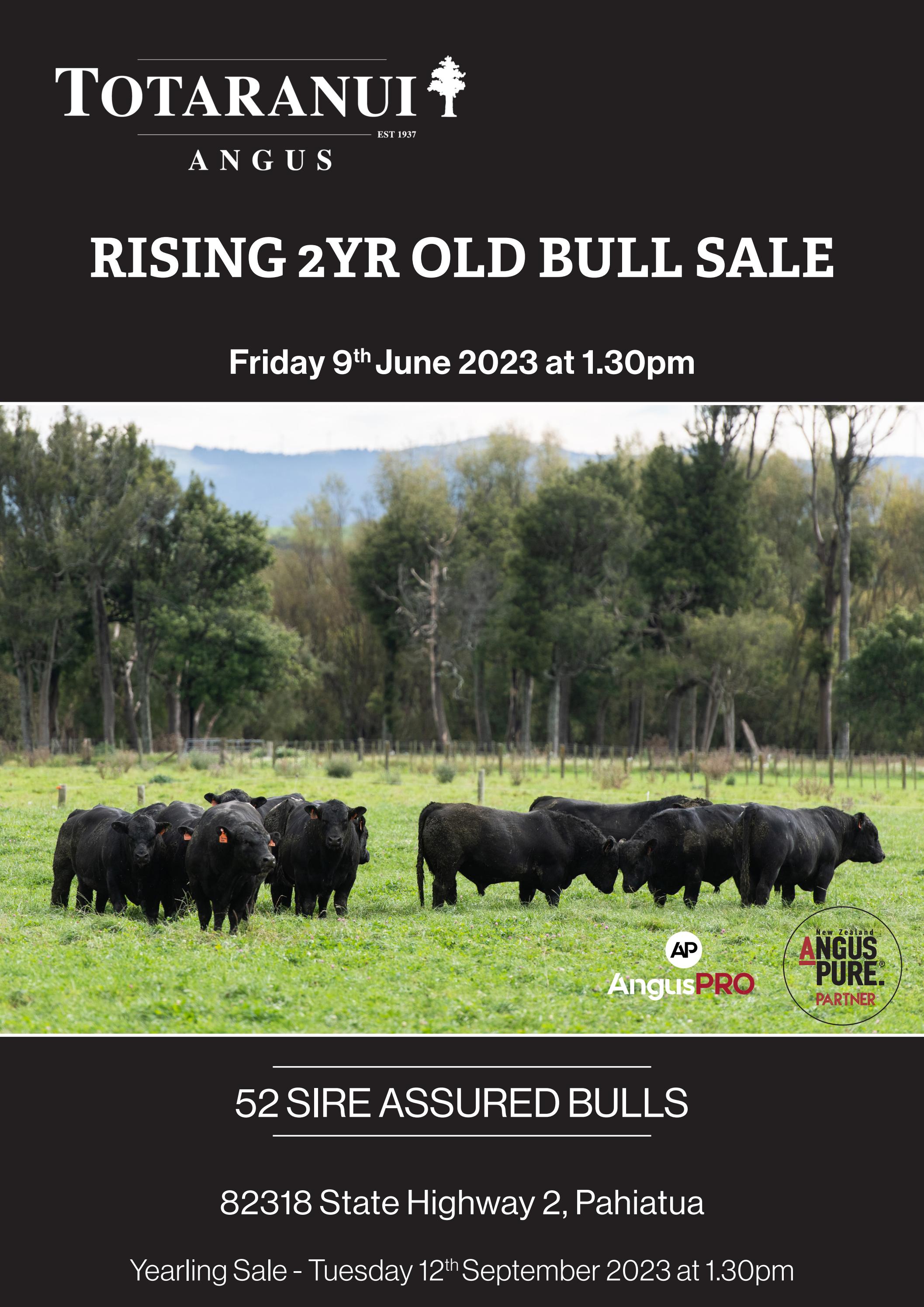Totaranui Angus 2Yr Old Bull Sale Catalogue 2023 by Angus Australia - Issuu