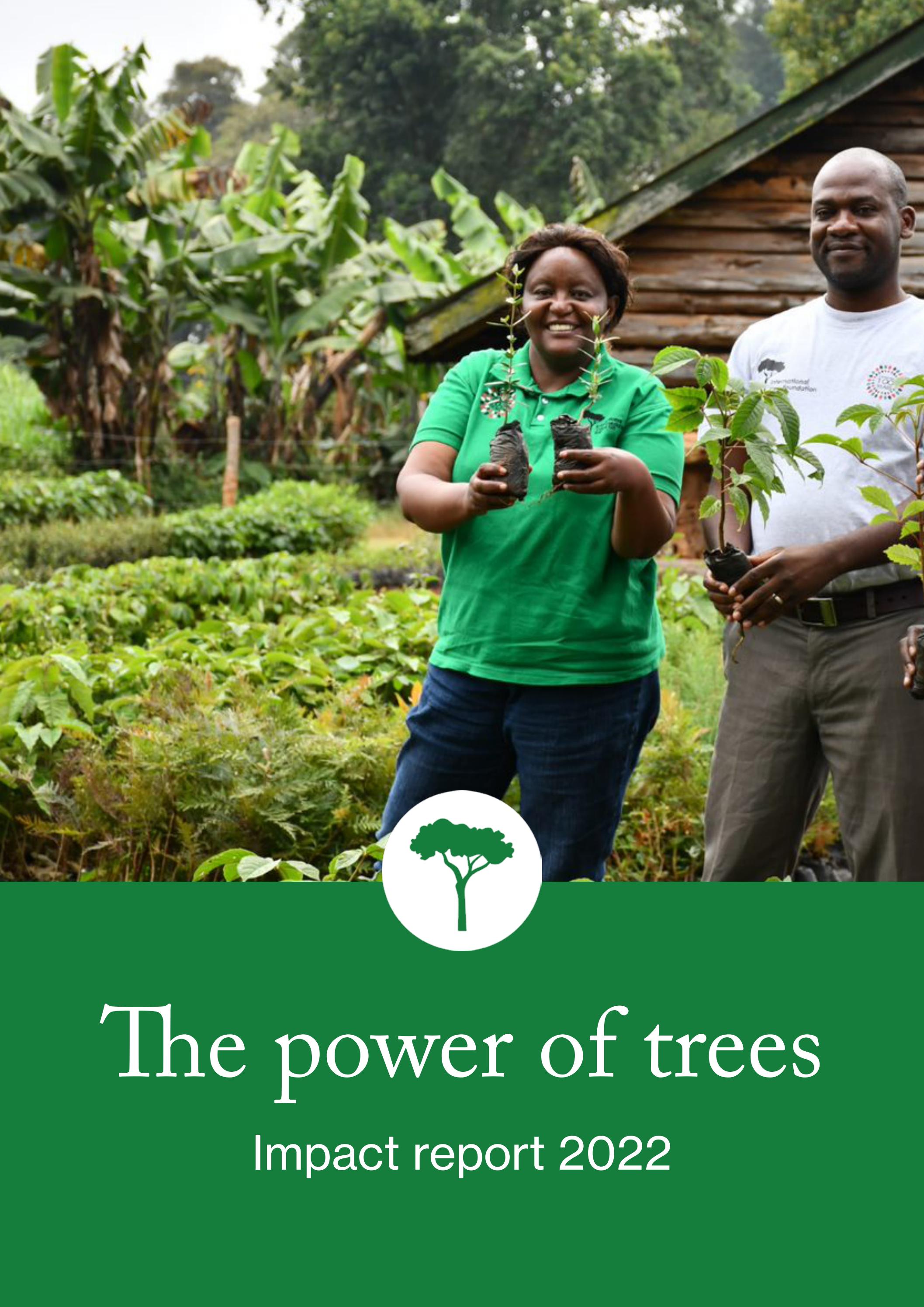 The power of trees - Impact report 2022 by International Tree ...