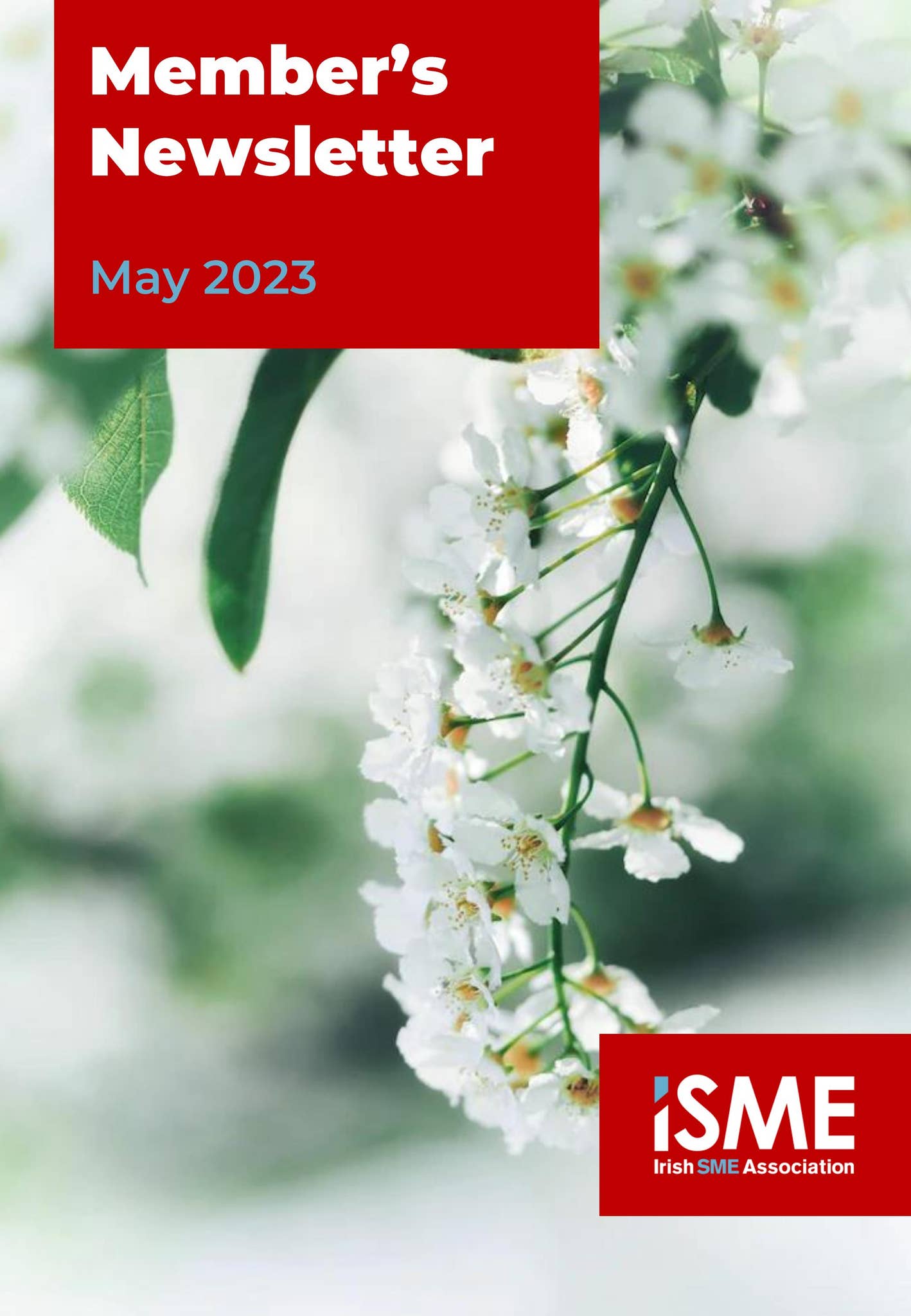 May monthly newsletter by Irish Small And Medium Enterprises ...