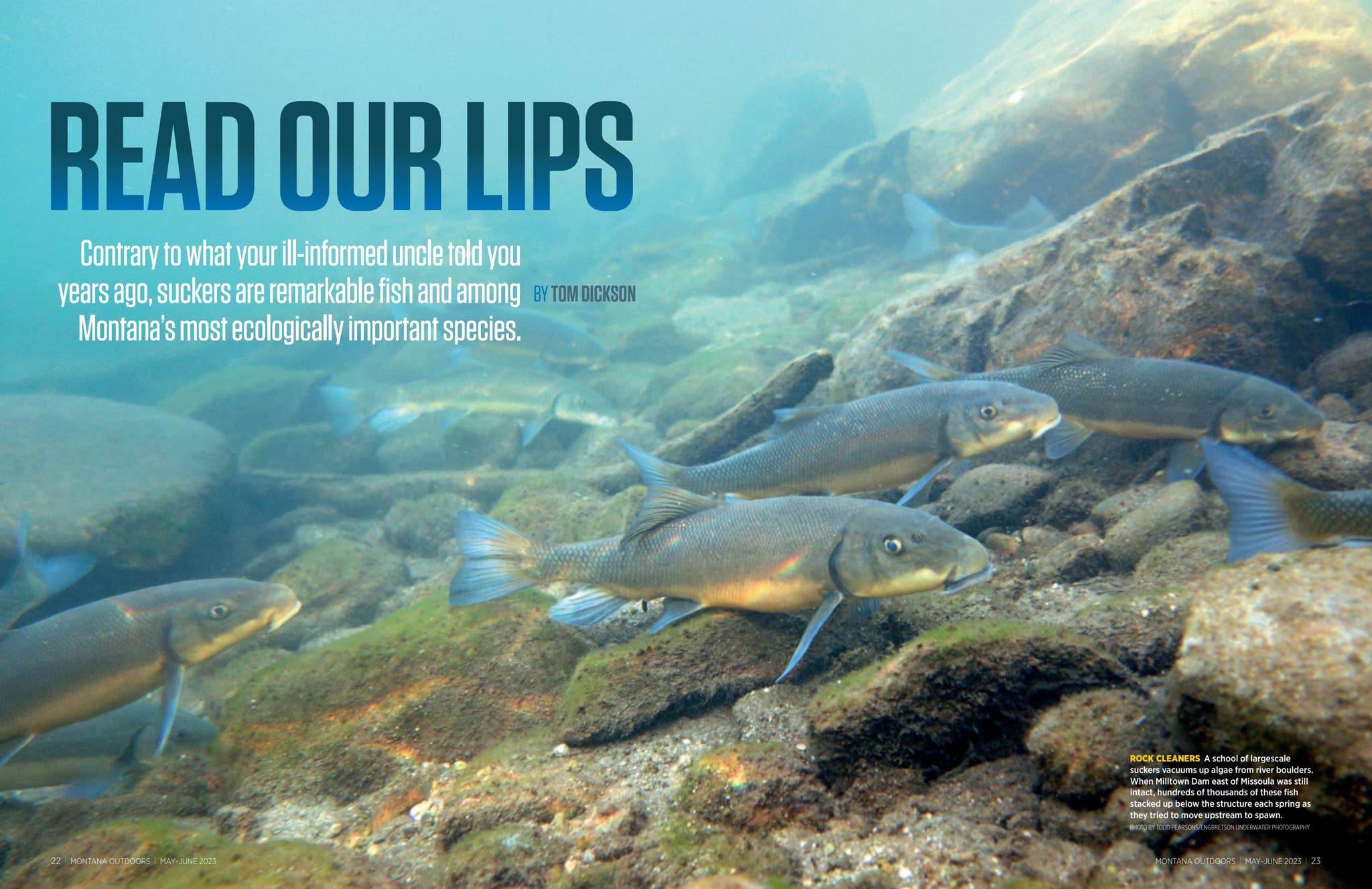 Read Our Lips by Montana Outdoors - Issuu
