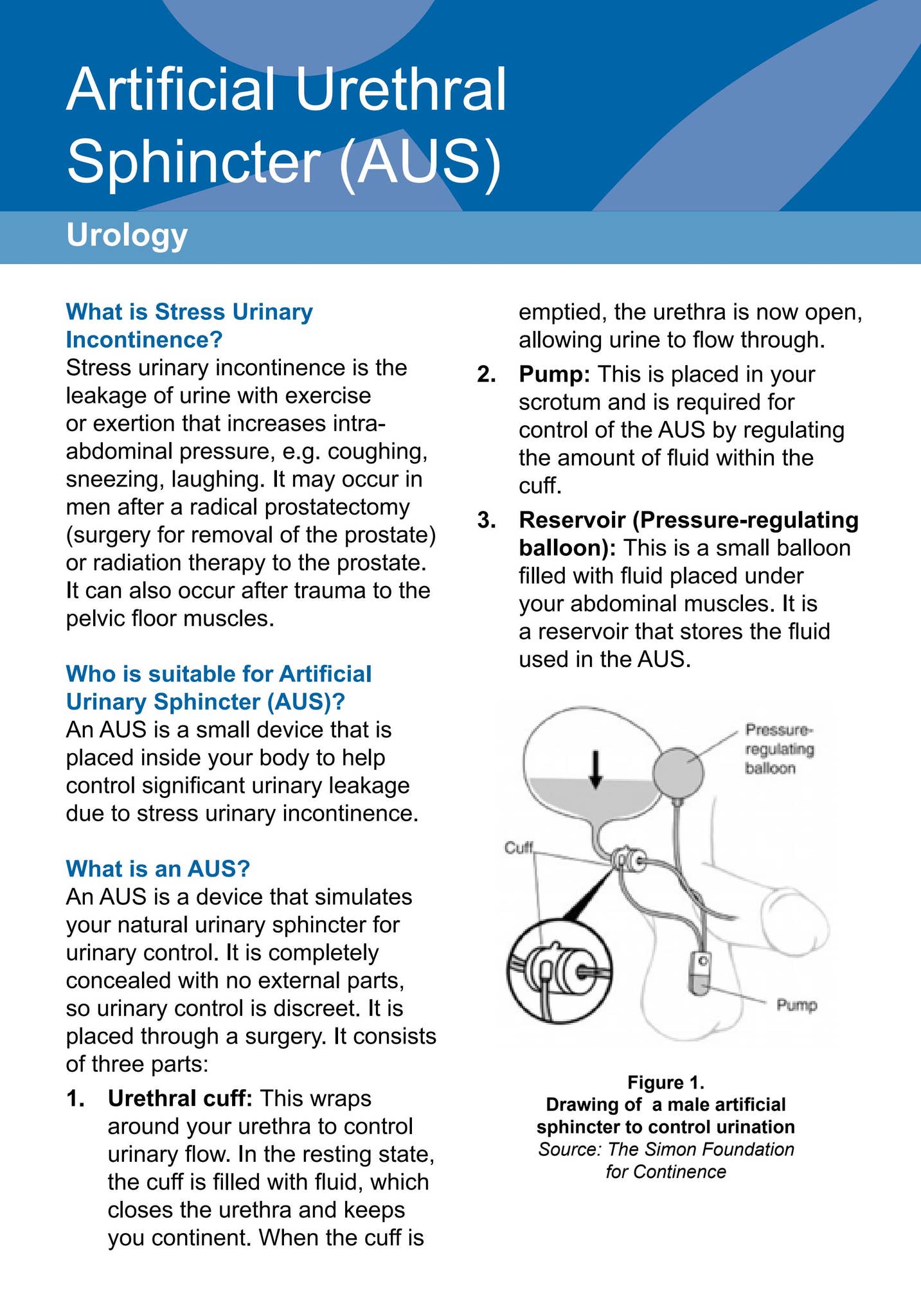 Artificial Urethral Sphincter (AUS) by KTPH_YCH - Issuu