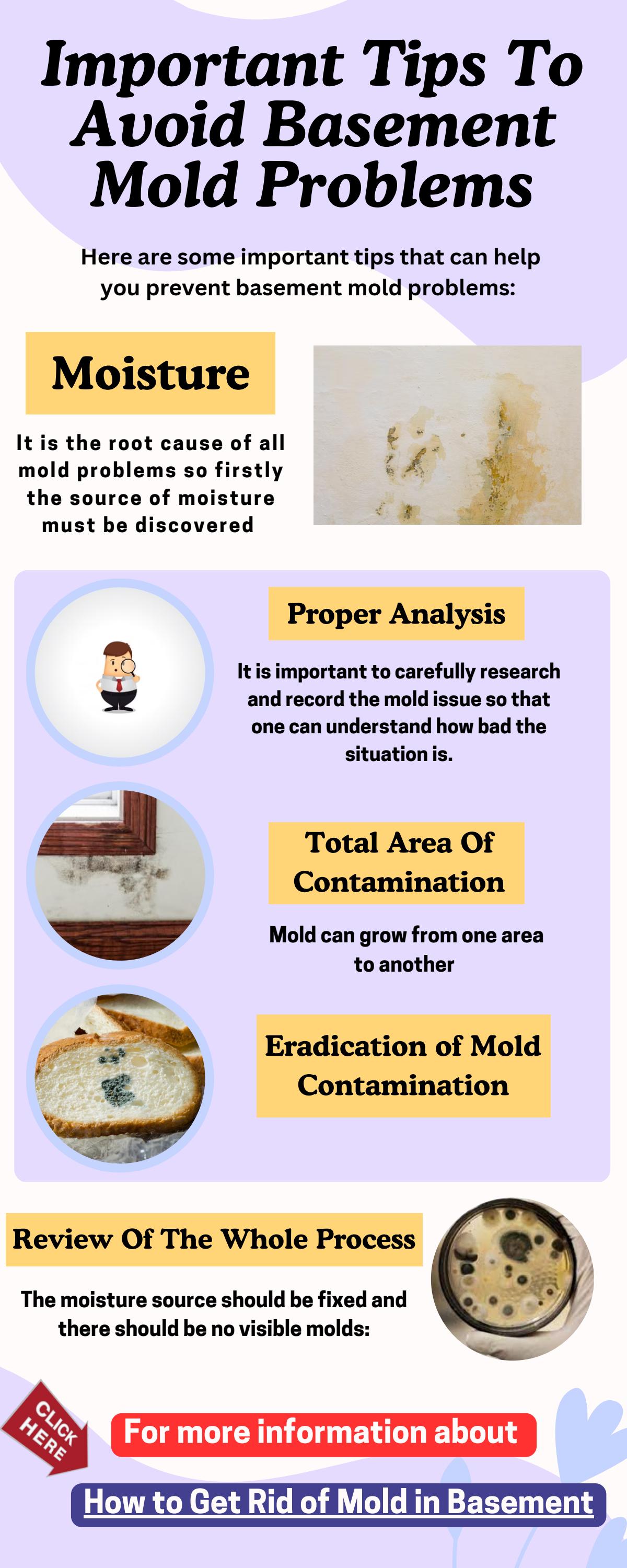 Important Tips To Avoid Basement Mold Problems by JM Environmental, Inc ...