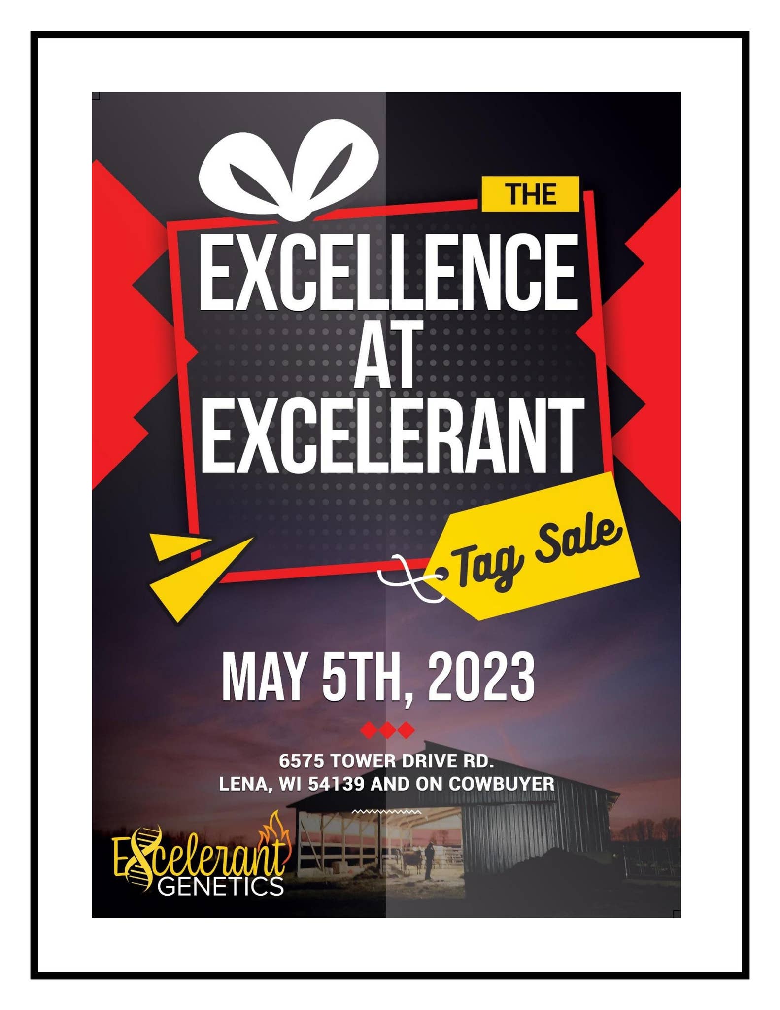 Excellence at Excelerant by Hannahkora1 - Issuu