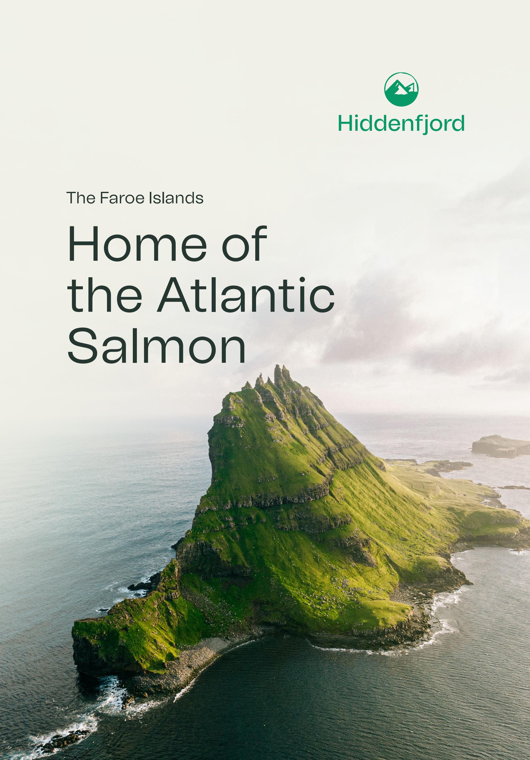 Hiddenfjord: Raised in the Wild (EU) by Hiddenfjord - Issuu