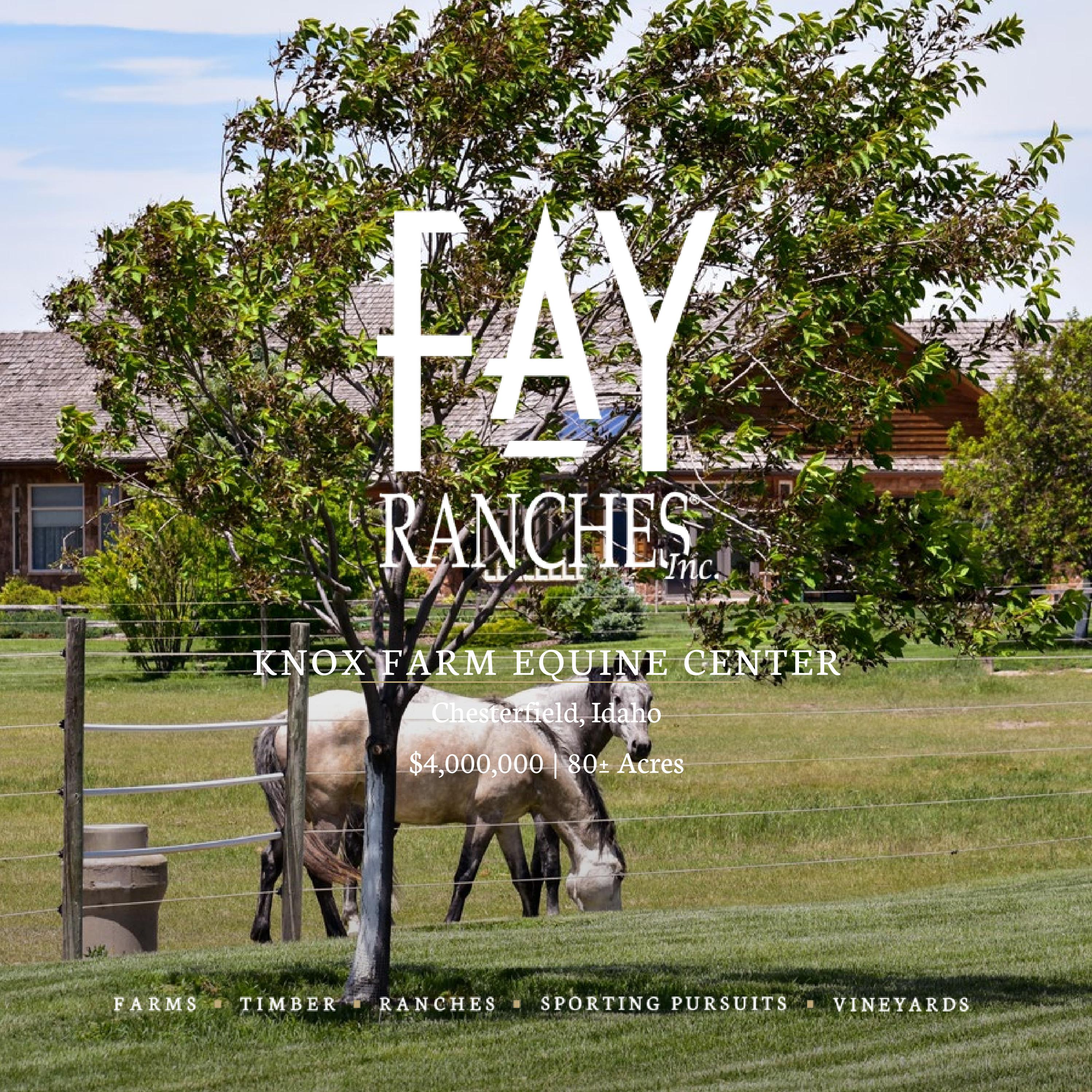 Knox Farm Equine Center | Fay Ranches by Fay Ranches - Issuu