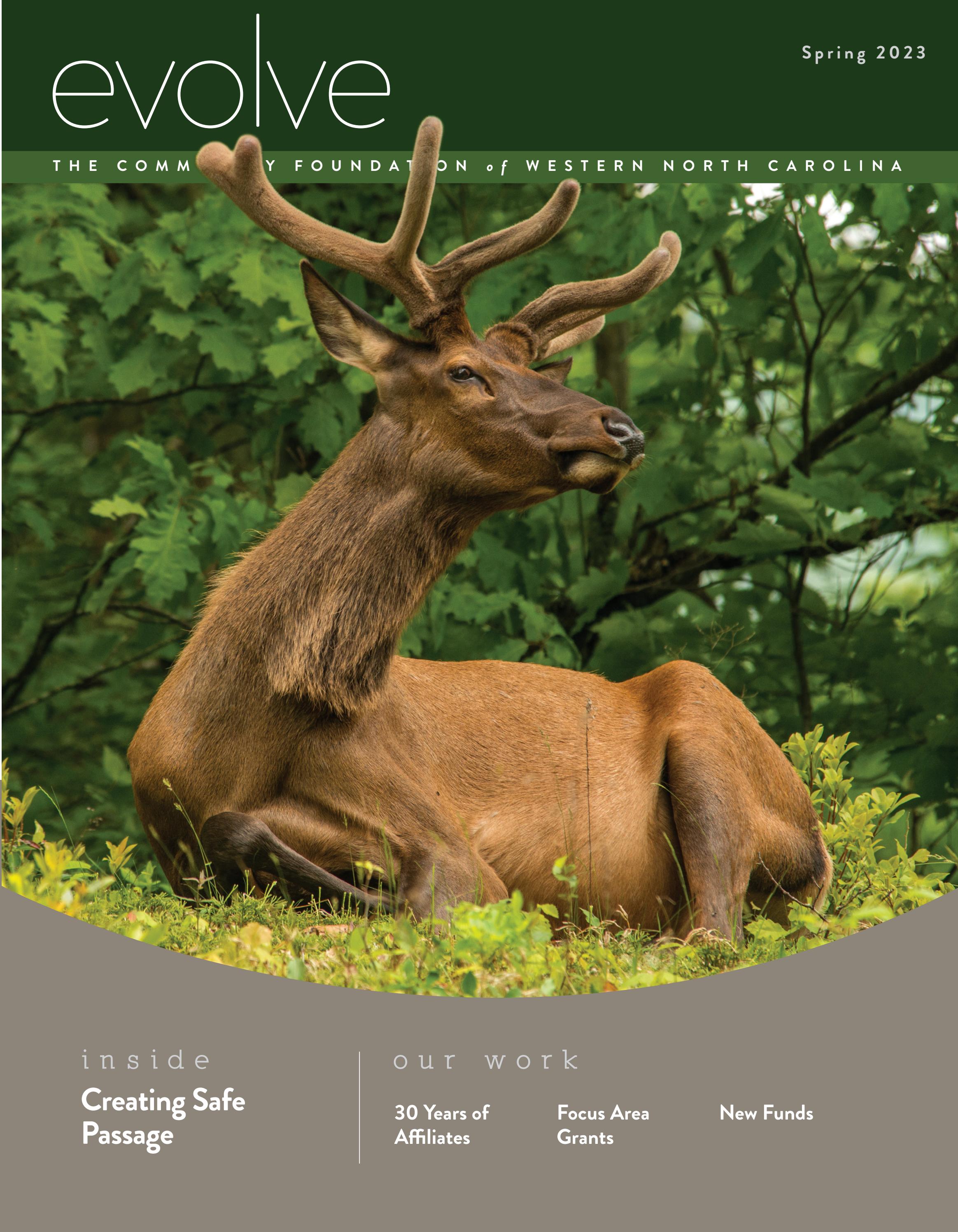 evolve Spring 2023 CFWNC by CFWNC - Issuu