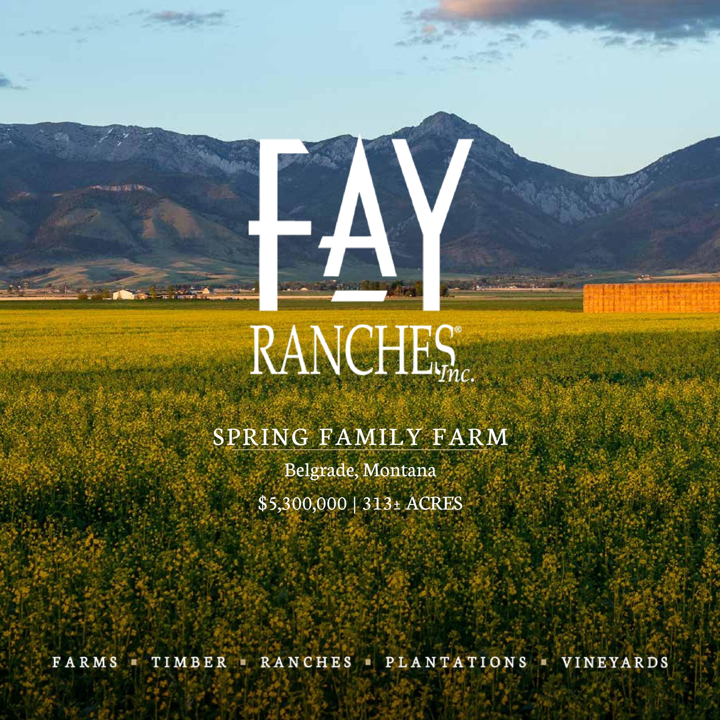 Spring Family Farm | Fay Ranches by Fay Ranches - Issuu