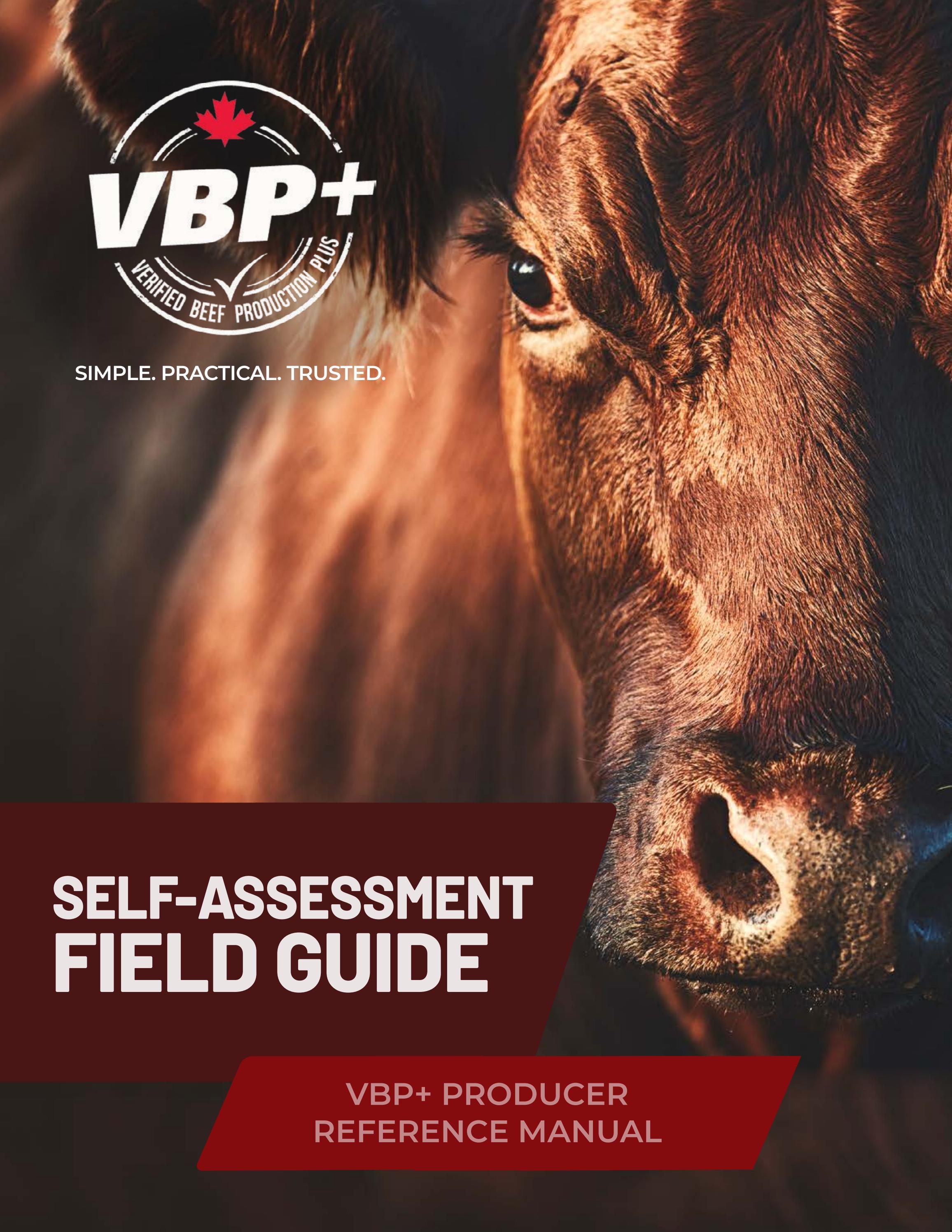 Self-Assessment Field Guide by Coyote Publishing Ltd. - Issuu