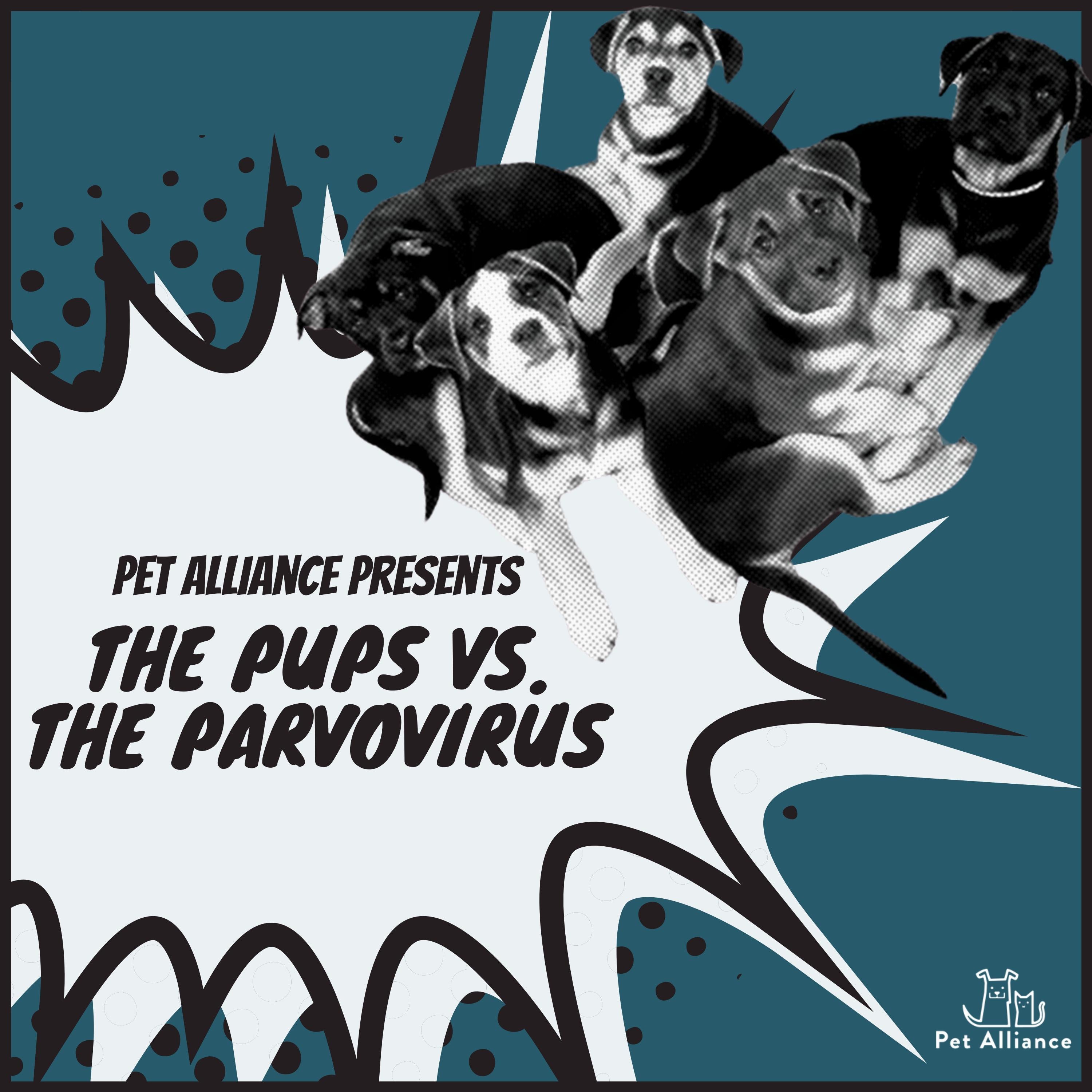 Pet Alliance - Parvo Comic by Cathy Rodgers - Issuu