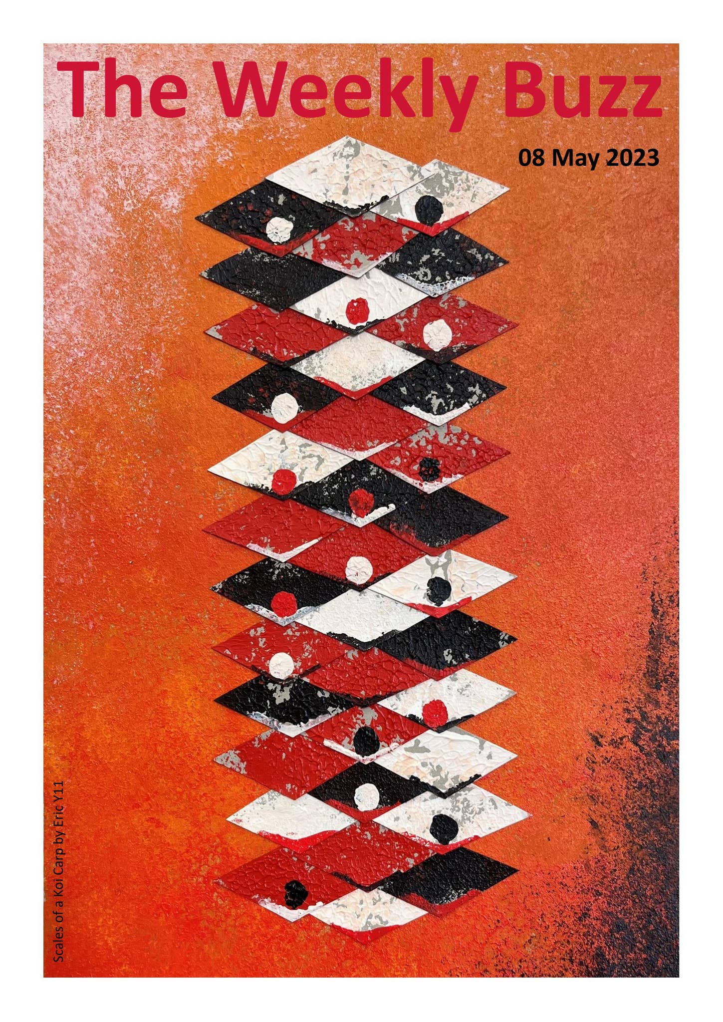 Weekly Buzz 8 May 2023 by Portland Place School - Issuu