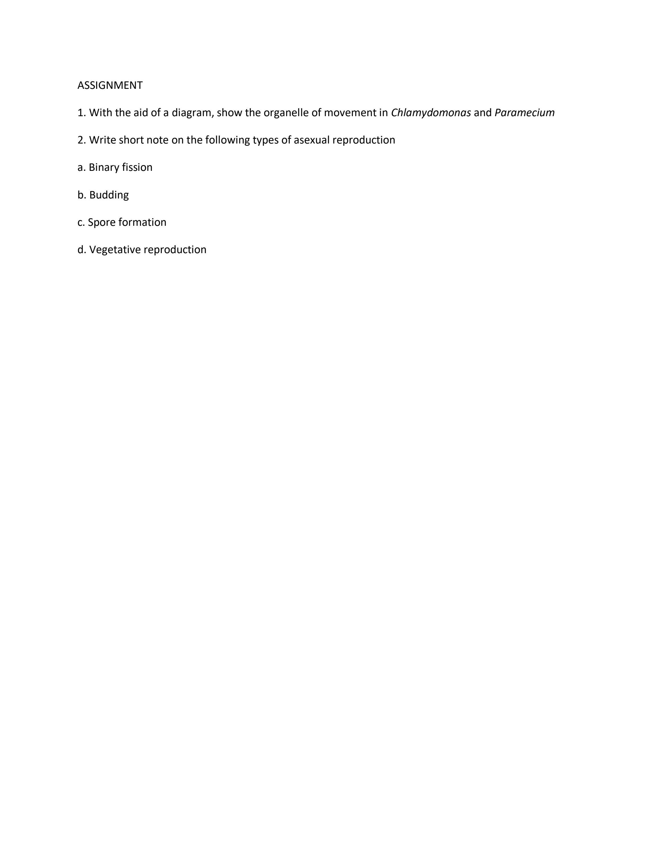 MODULE 3 ASSIGNMENT by Gra chef - Issuu