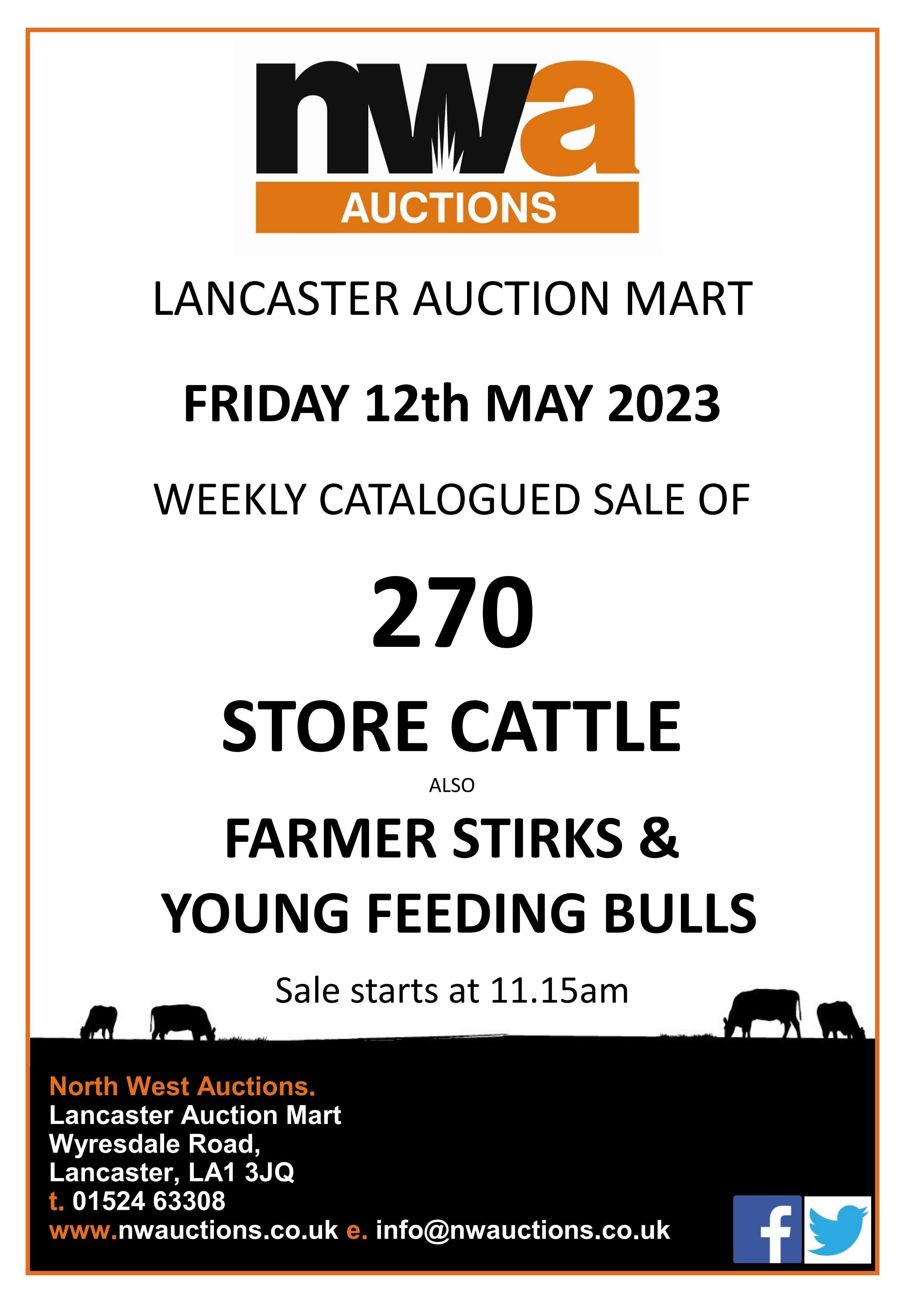 Lancaster Store Cattle by North West Auctions - Issuu