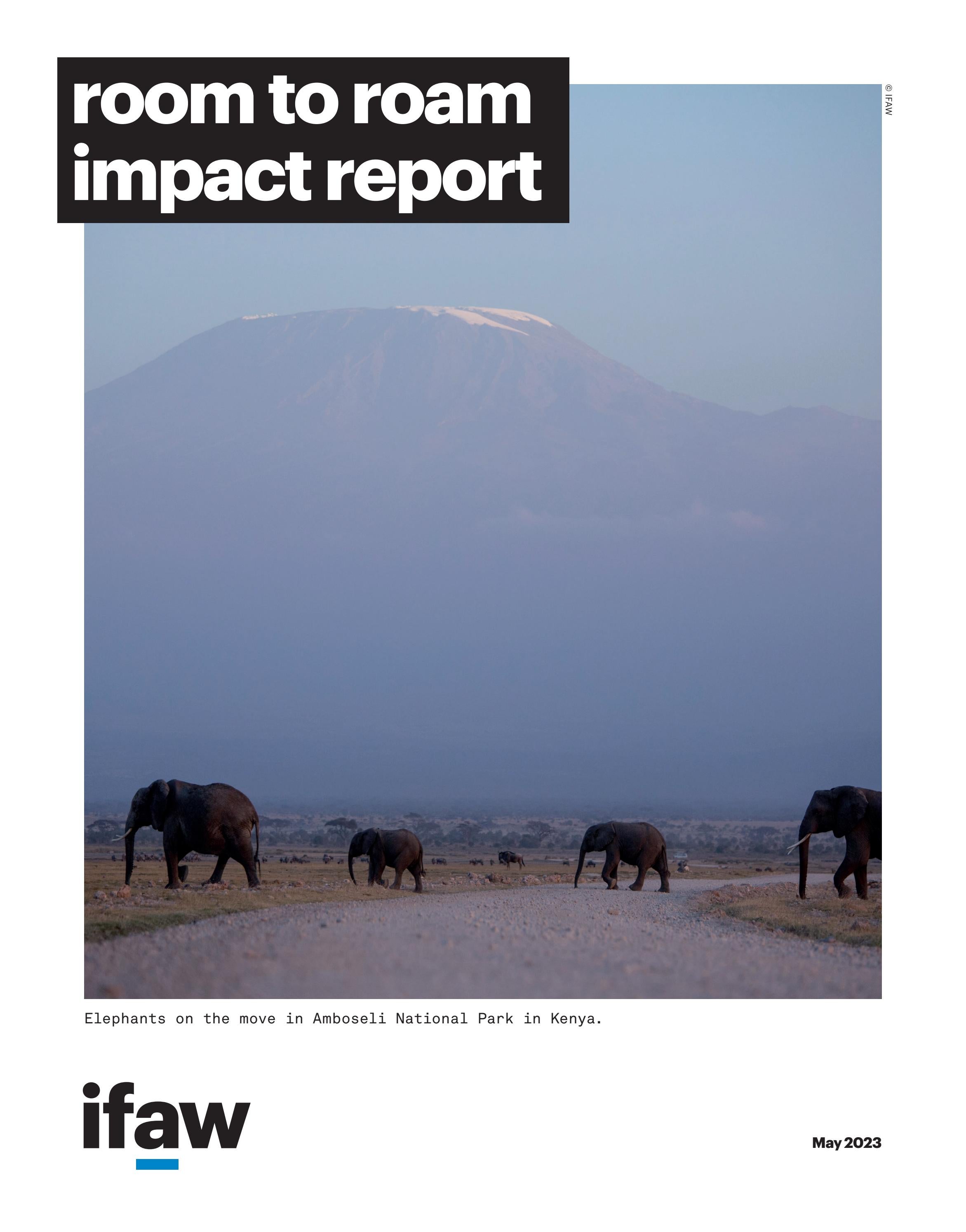 IFAW 2023 Room to Roam Impact Report by ifaw.donors - Issuu