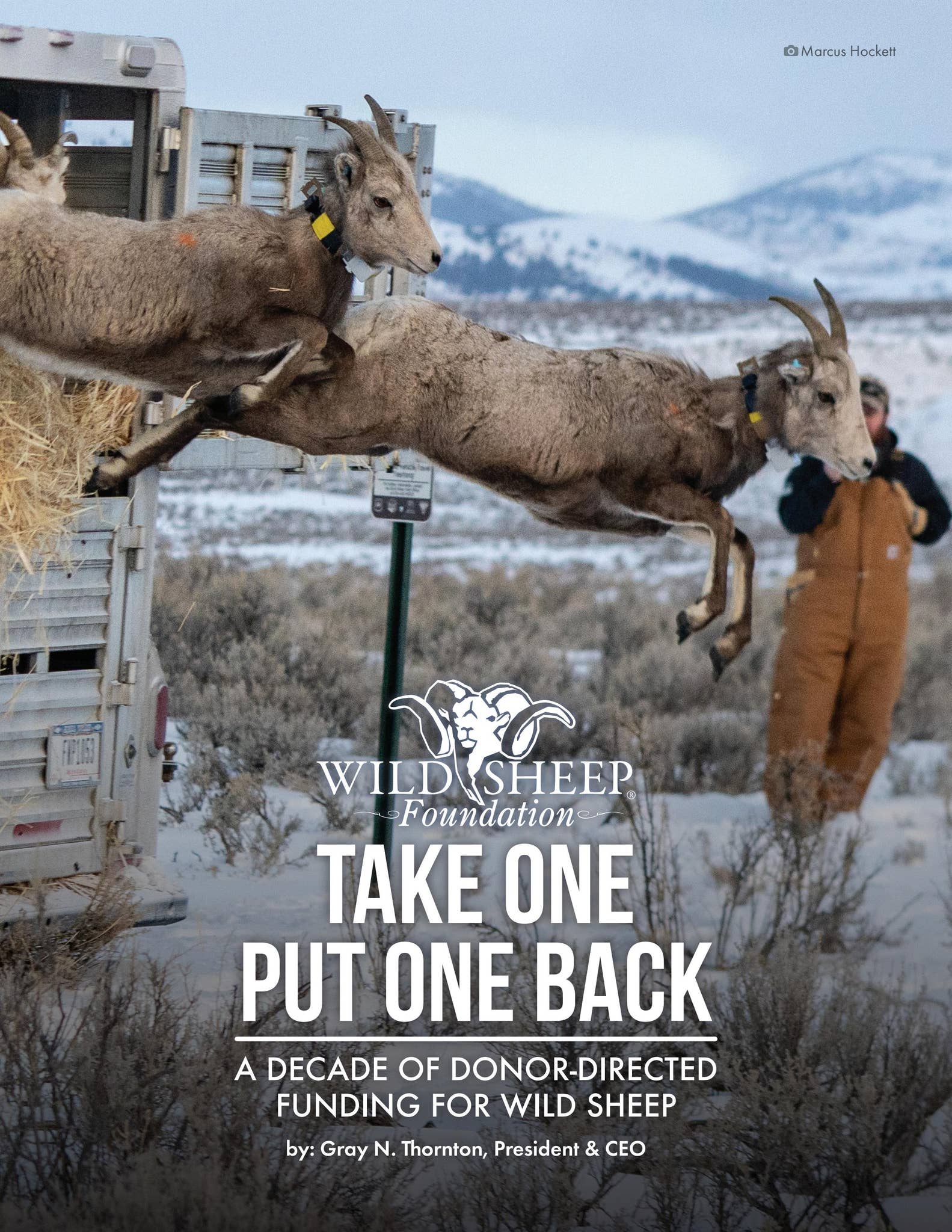 Take One Put One Back II by wildsheepfoundation - Issuu