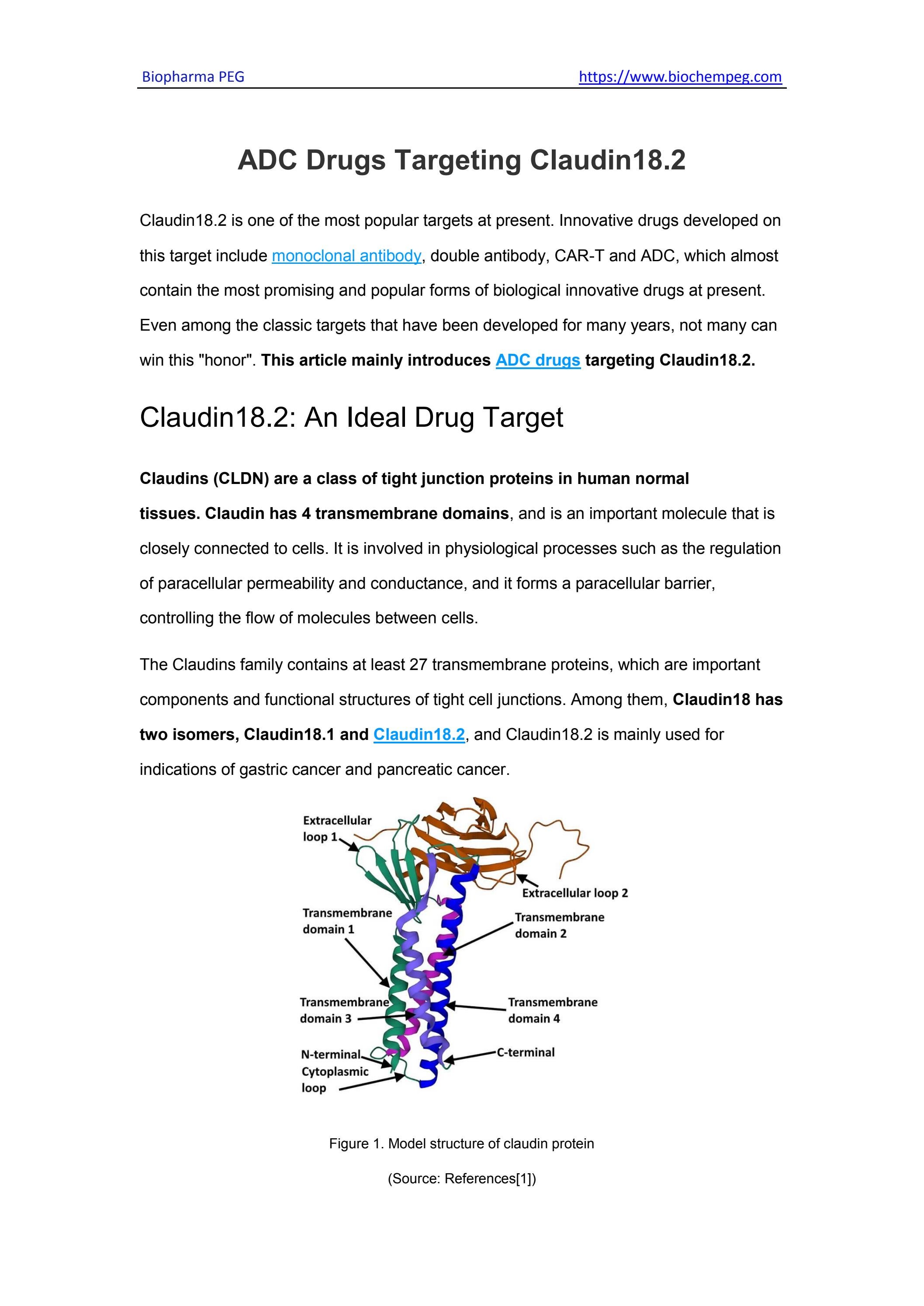 ADC Drugs Targeting Claudin18.2 by sunny Fang - Issuu
