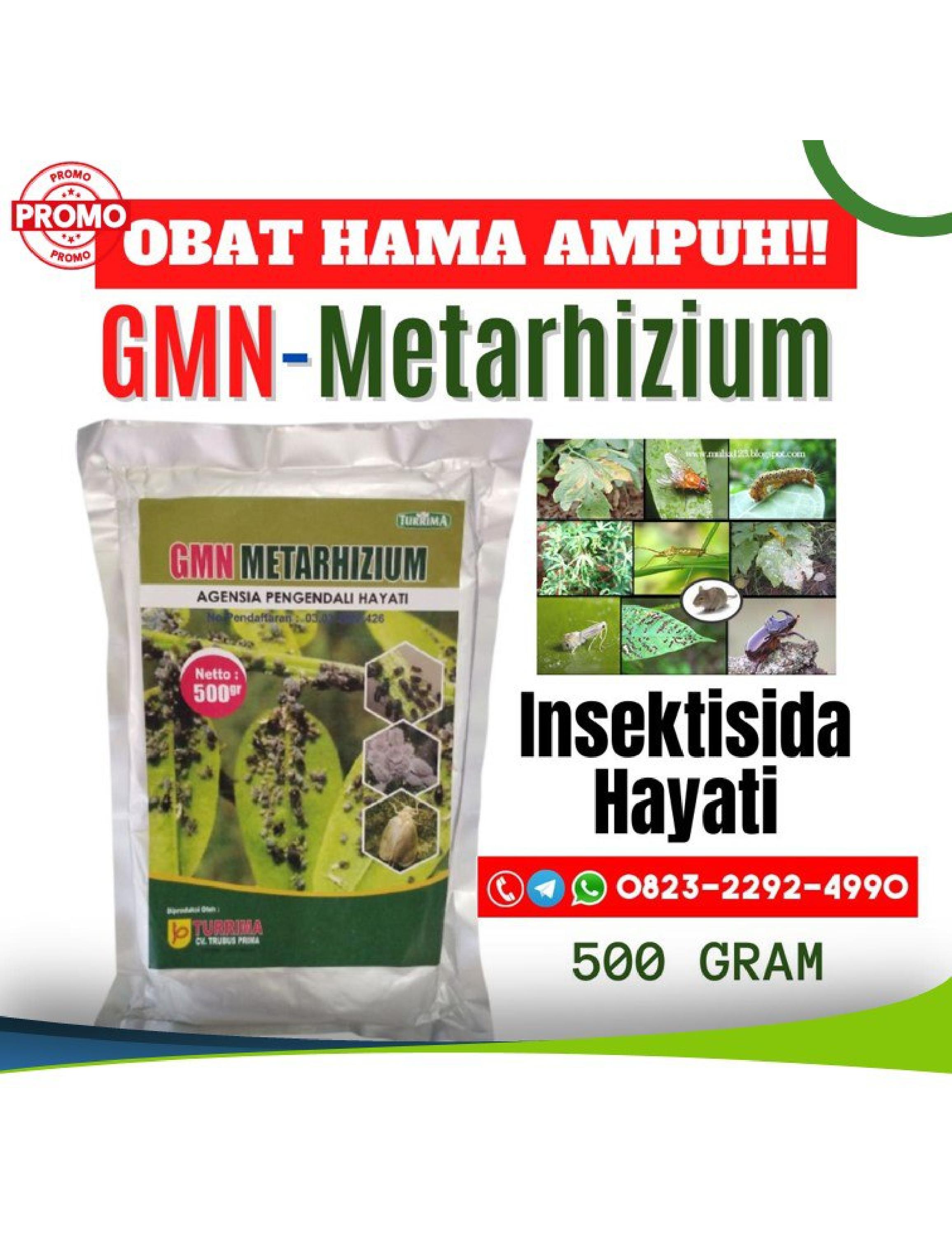 Obat Sundep Tradisional Dalchaebi
