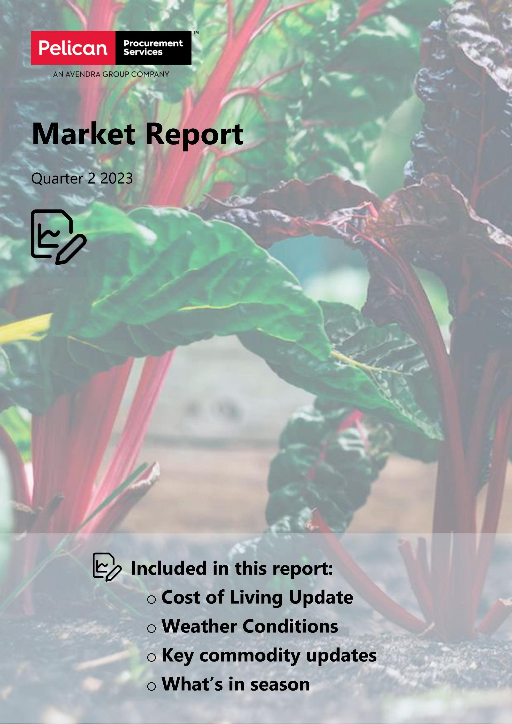 Pelican Procurement Services Market Report Q2 2023 by ...