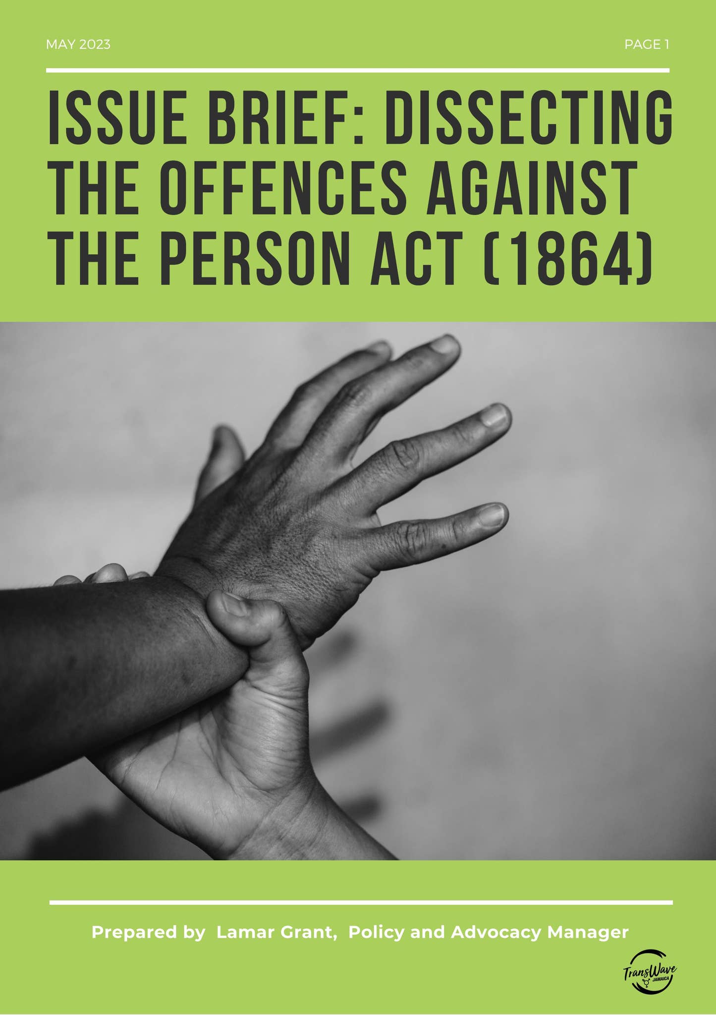 Issue Brief: Dissecting the Offences Against the Person Act (1864) by ...