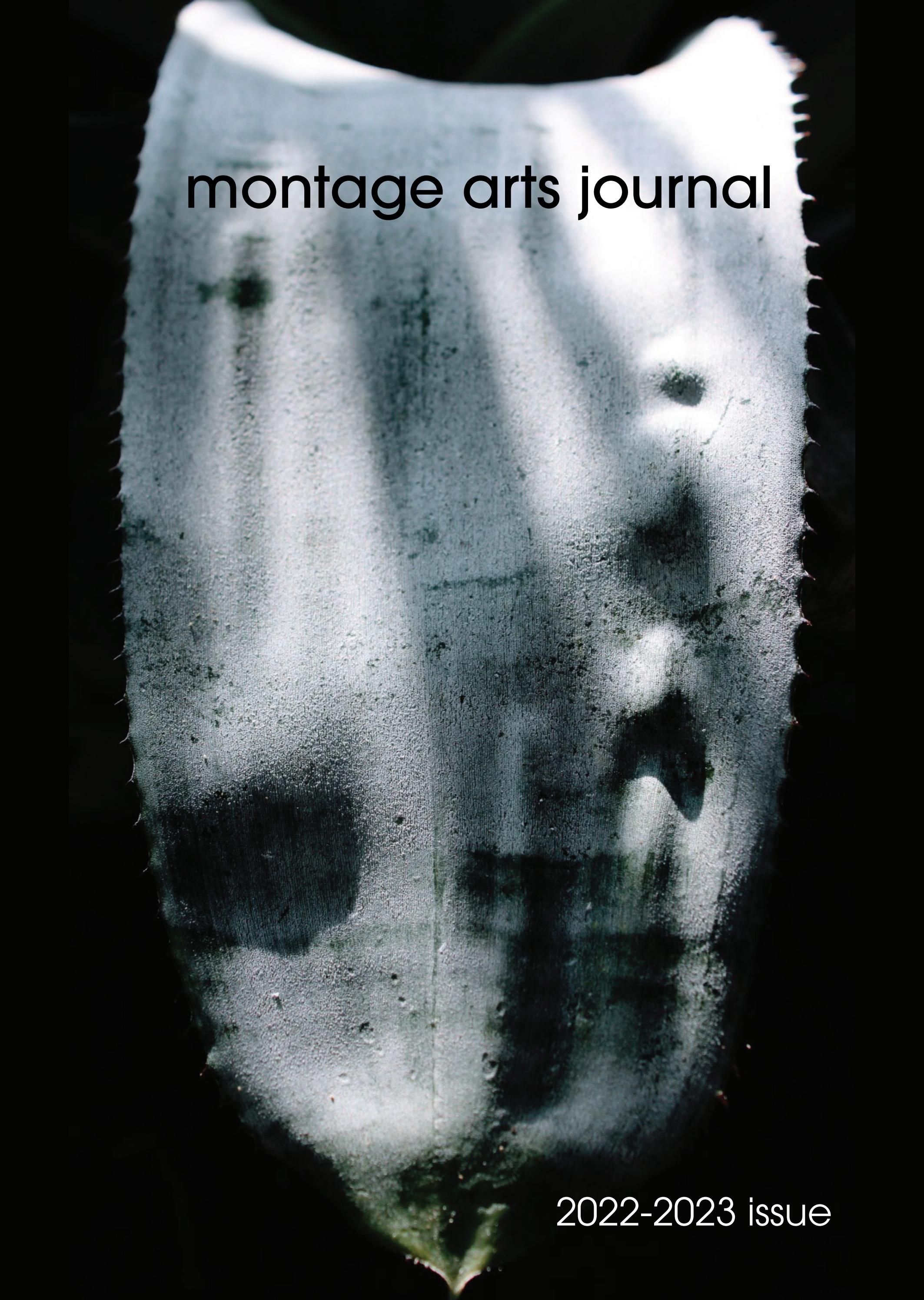Montage | Issue #17 by Montage Arts Journal - Issuu
