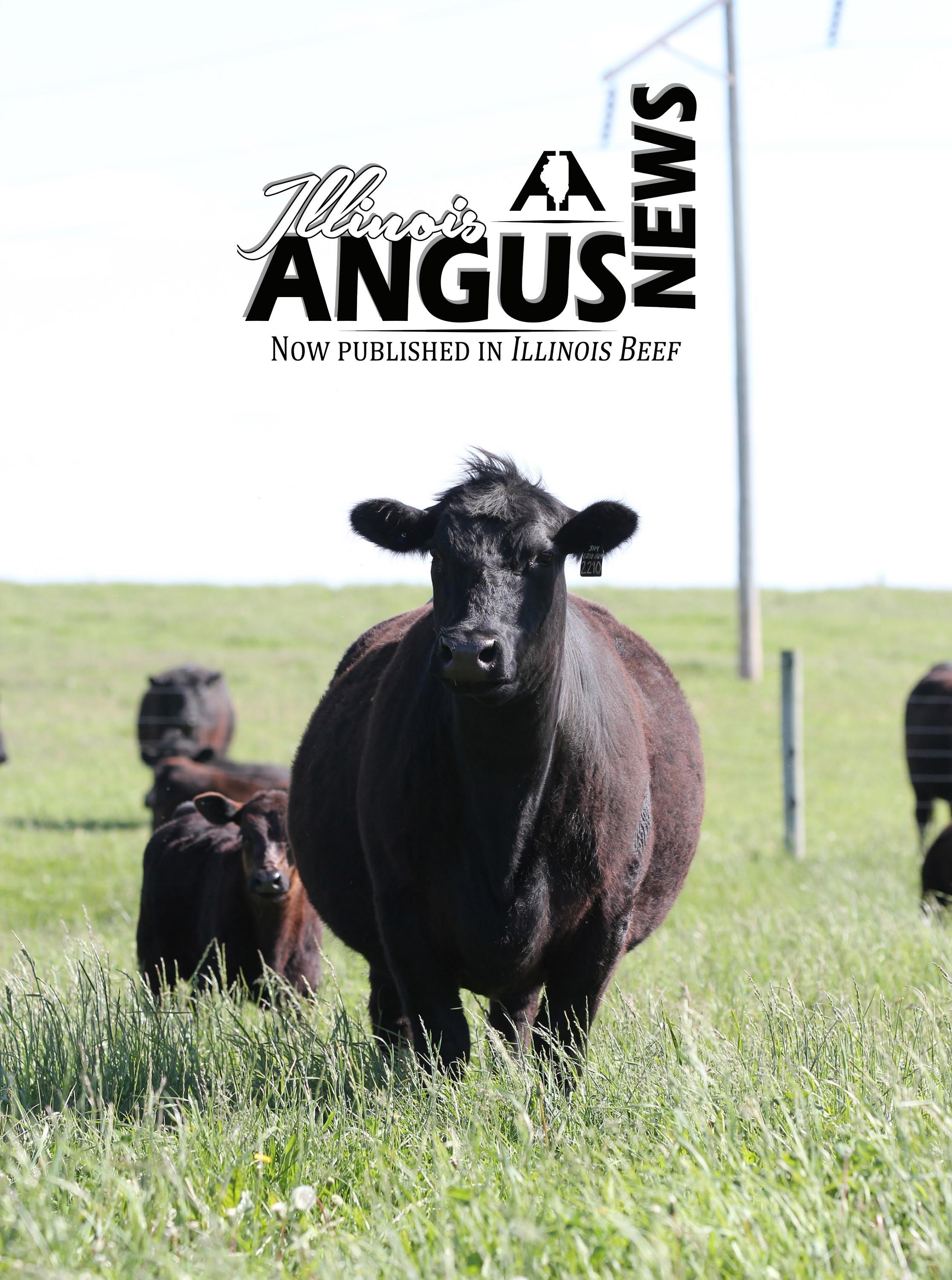 Illinois Angus News - May/June 2023 by Illinois Beef/Illinois Angus ...