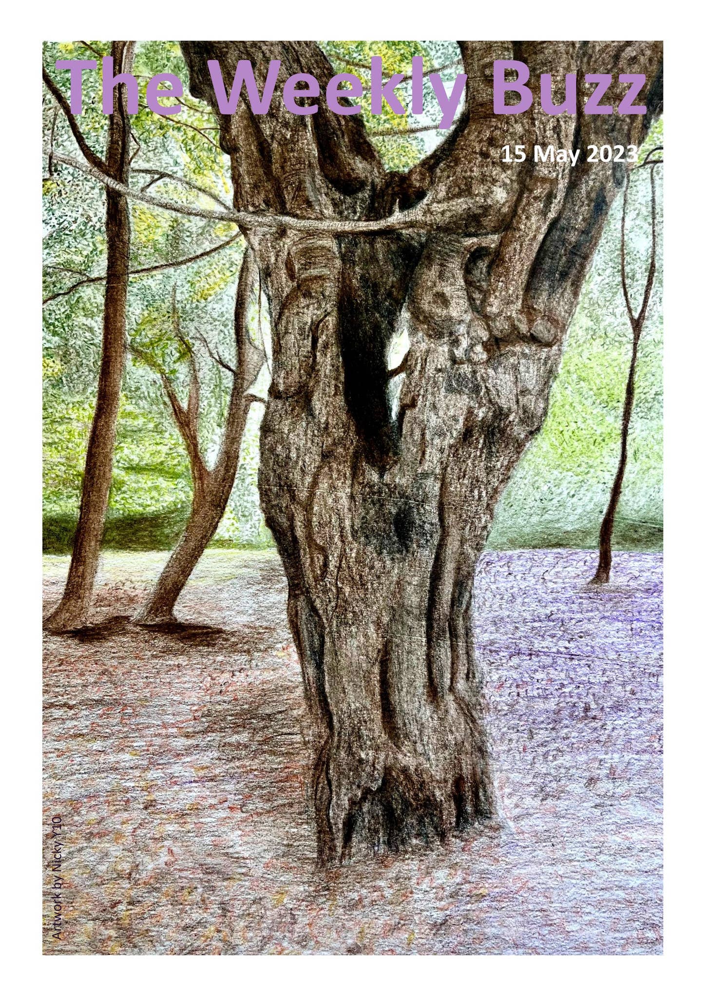 Weekly Buzz 15 May 2023 by Portland Place School - Issuu