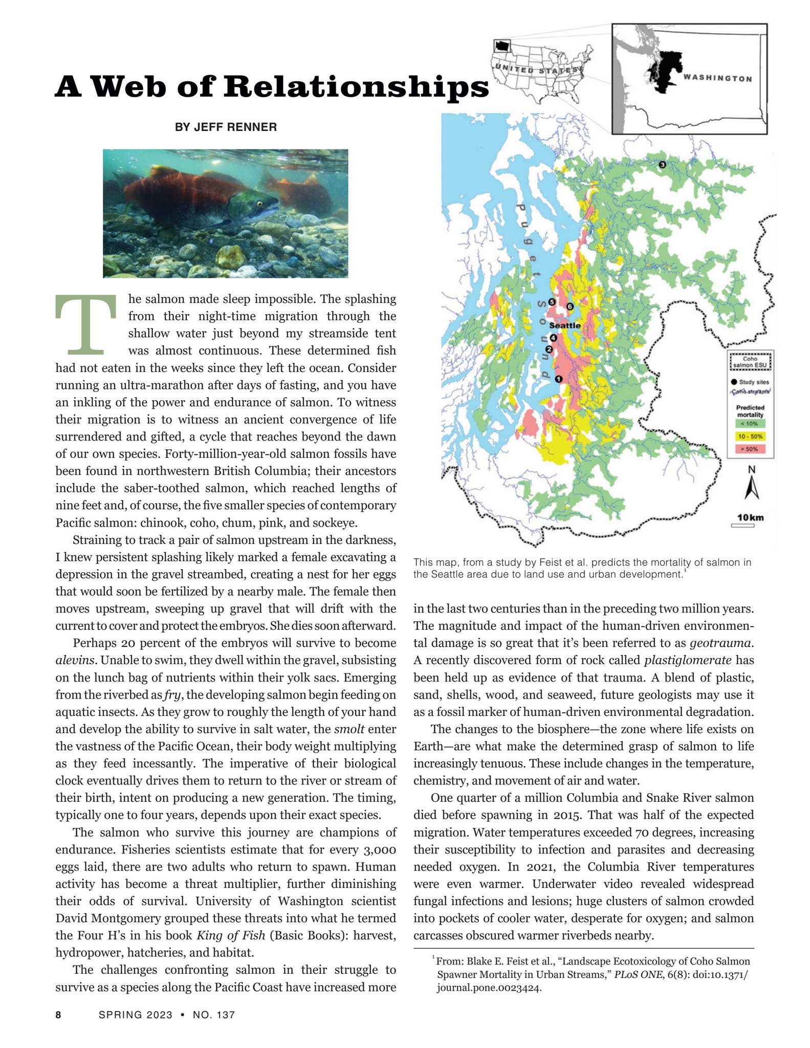A Web of Relationships by Jeff Renner-NW Energy and Salmon Plan by ...