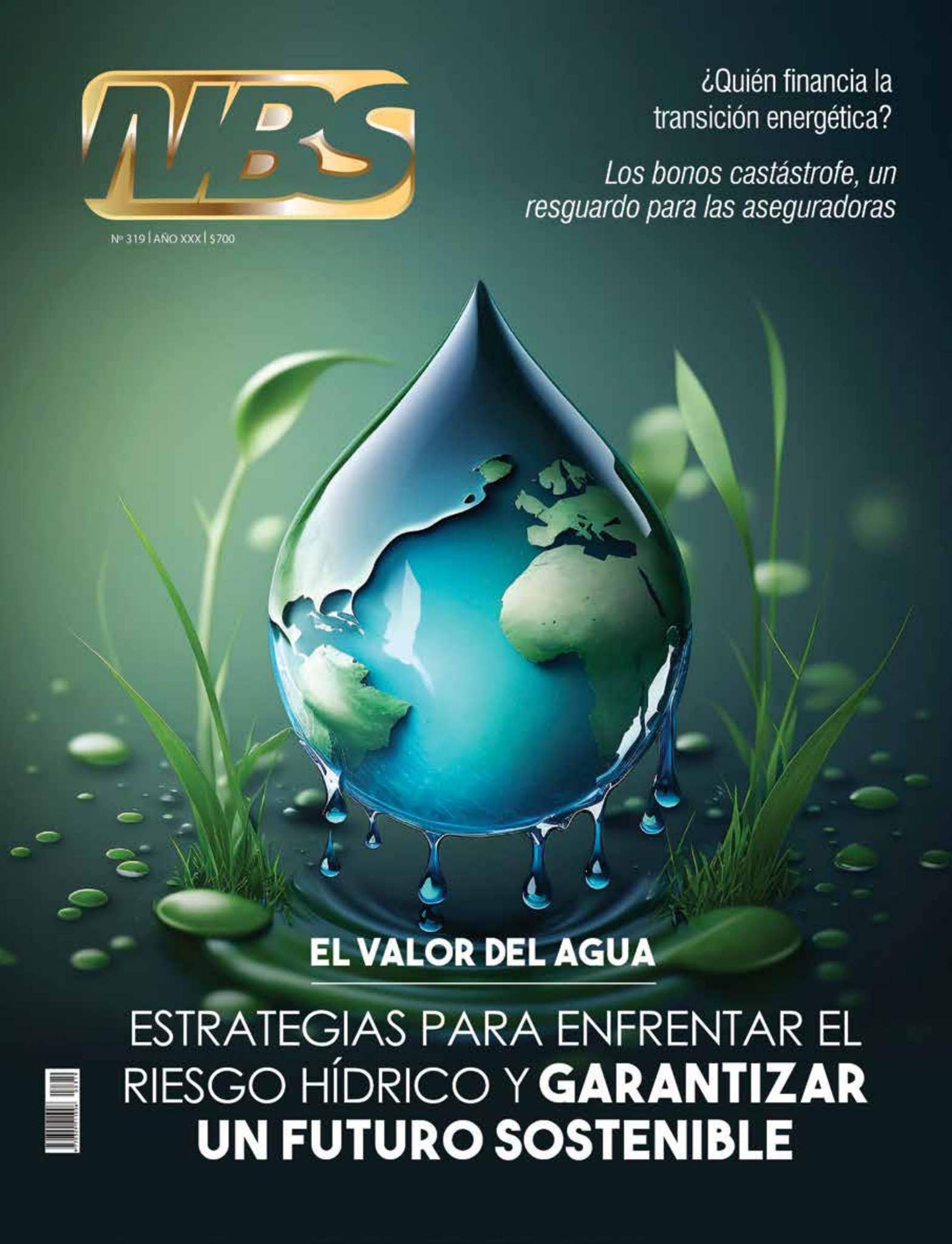 NBS 319 by NBS Bancos y Seguros - Issuu