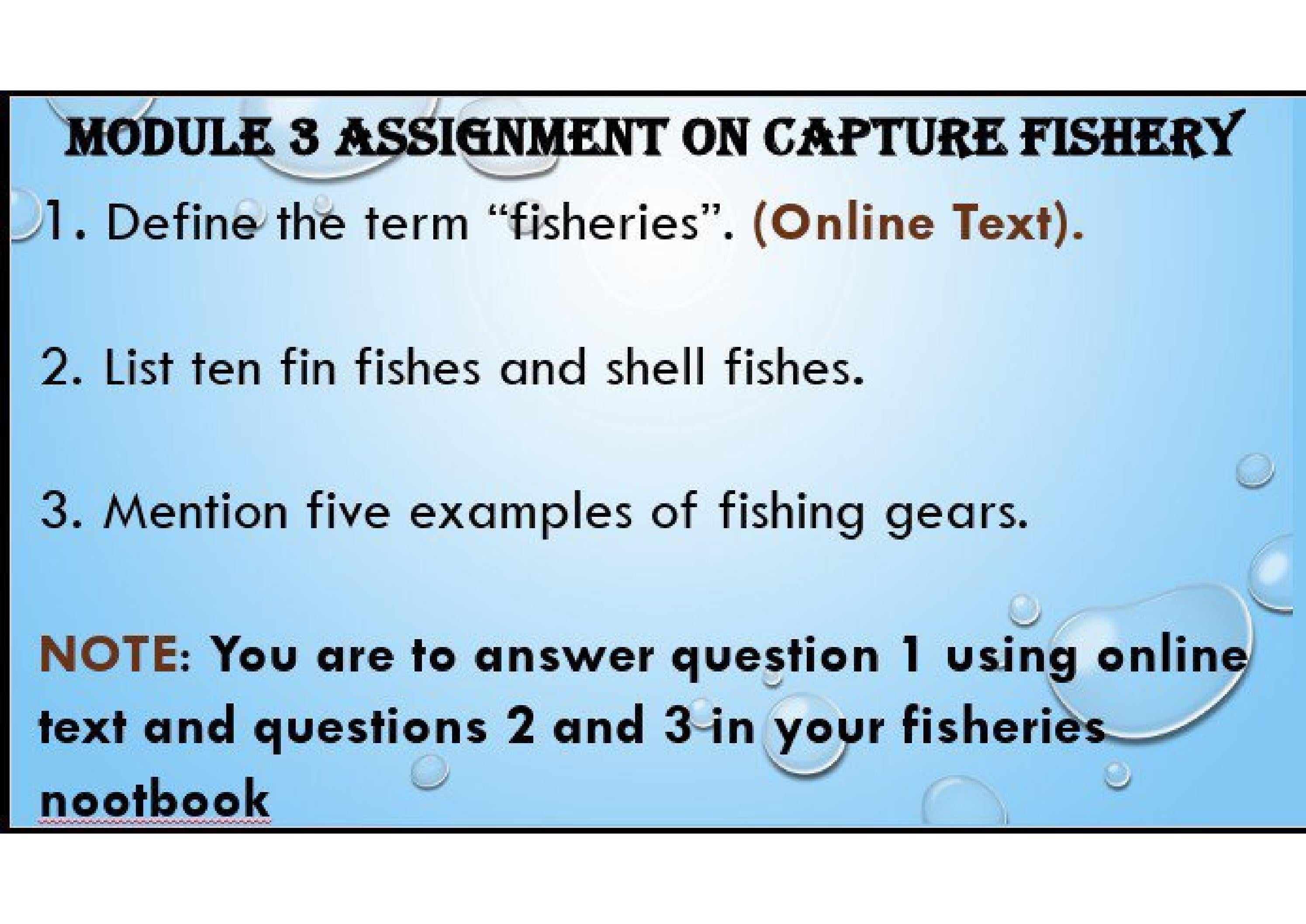 Fish3 by Gra chef - Issuu