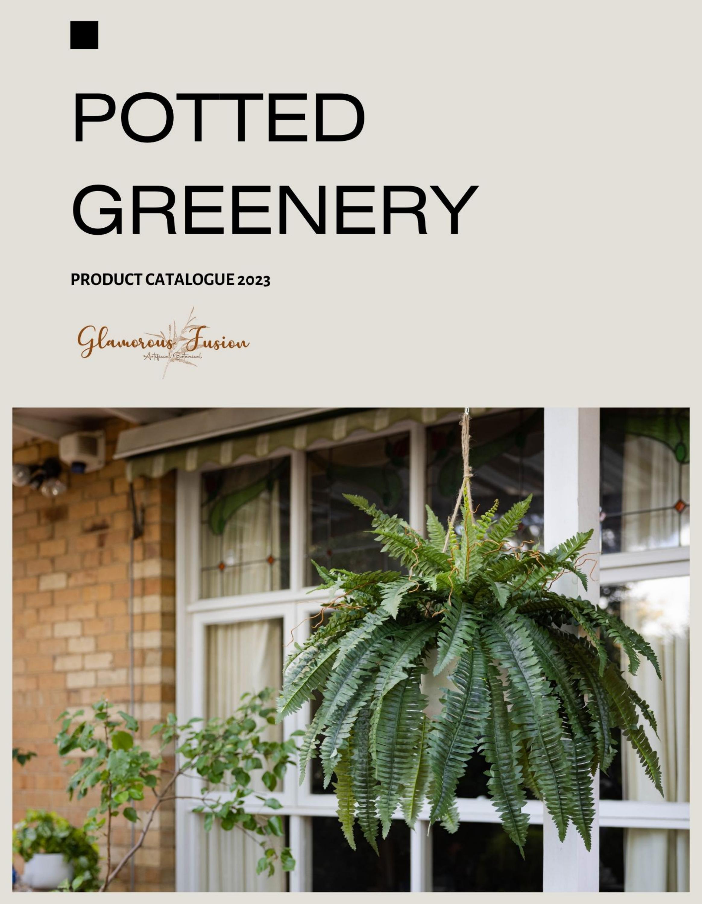 CATALOGUE 2023- POTTED GREENERY by glamorousfusion - Issuu