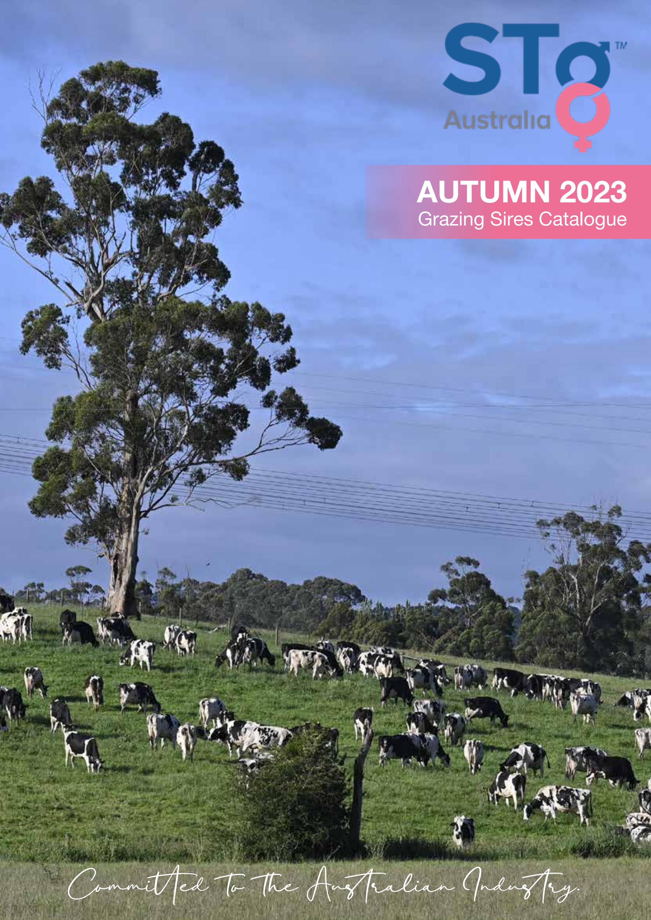 STG Australia Grazing Catalogue May 2023 by Stgen Australia - Issuu