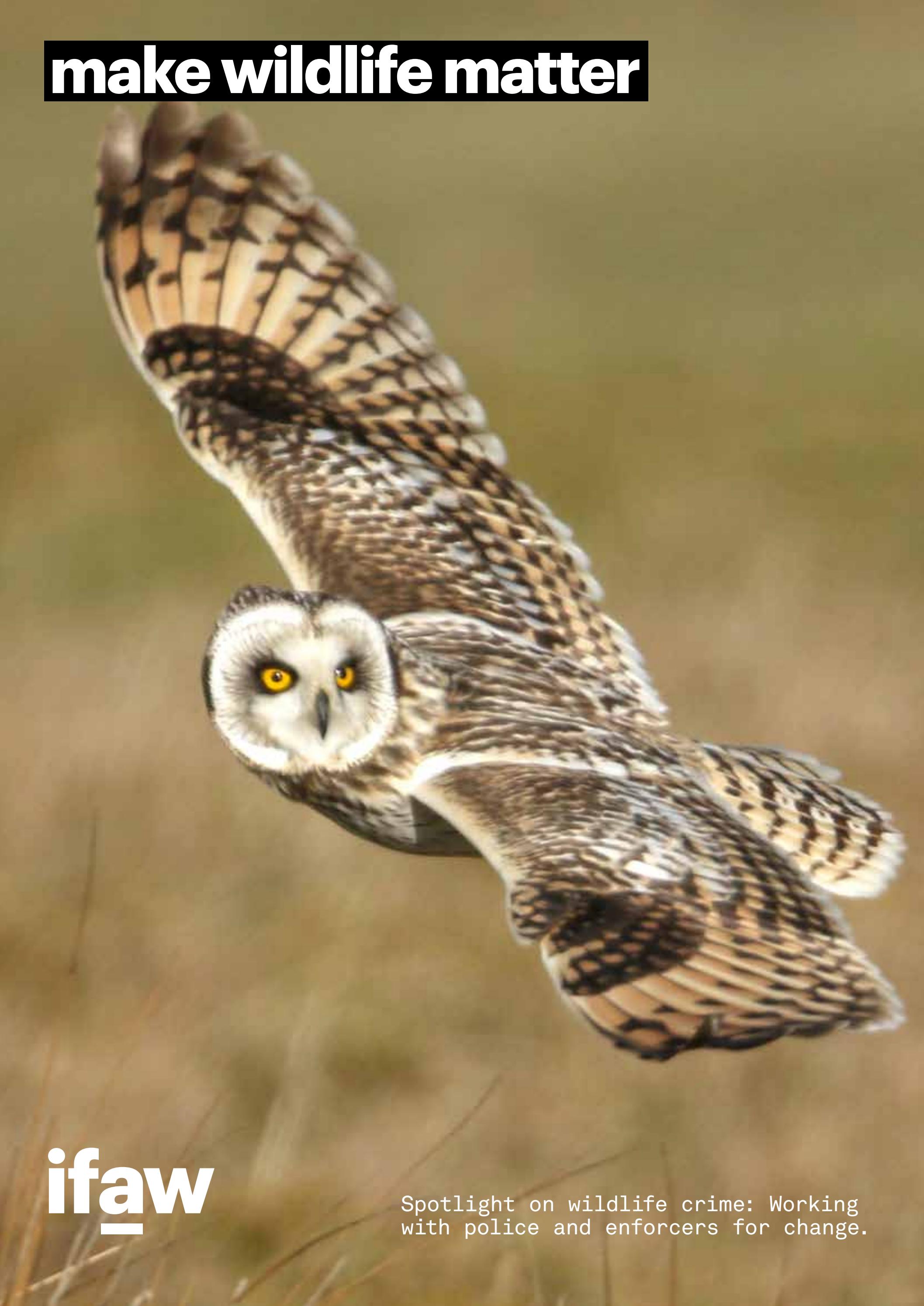 Make Wildlife Matter: Spotlight on Wildlife Crime by ifaw.donors - Issuu