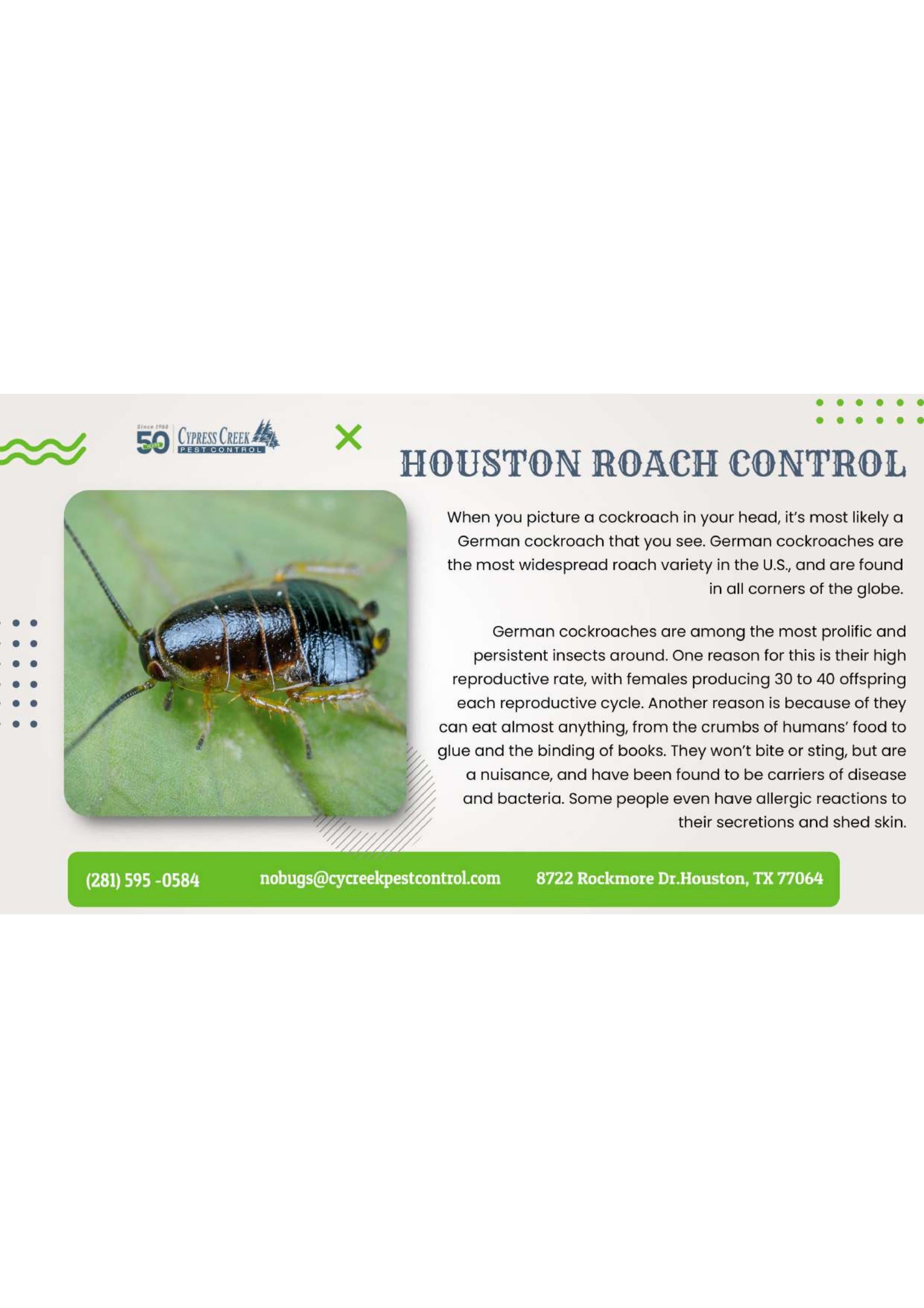HOUSTON ROACH CONTROL | Identifying German cockroaches by ...