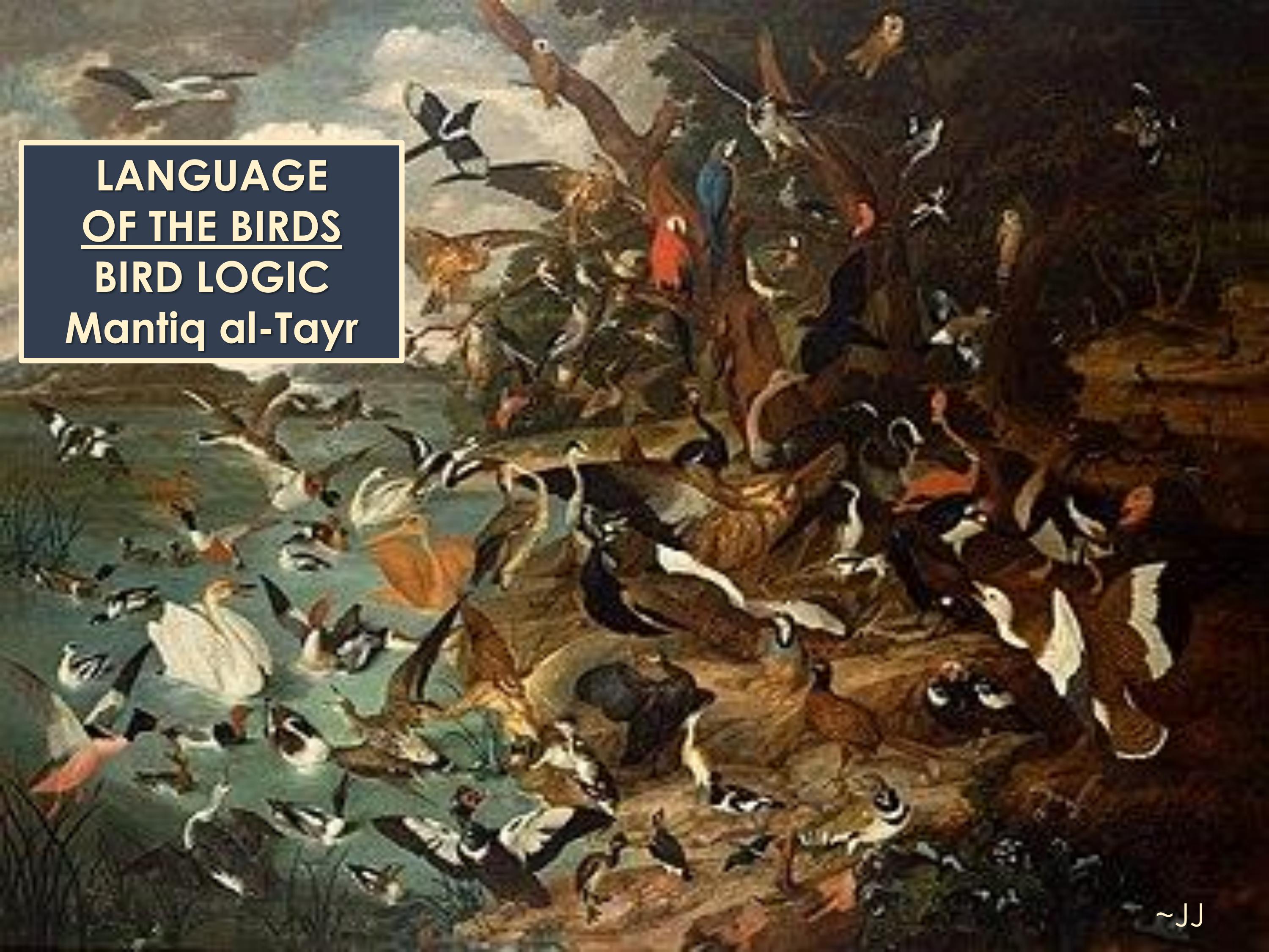 LANGUAGE OF THE BIRDS: BIRD LOGIC by Communication Innovation - Issuu