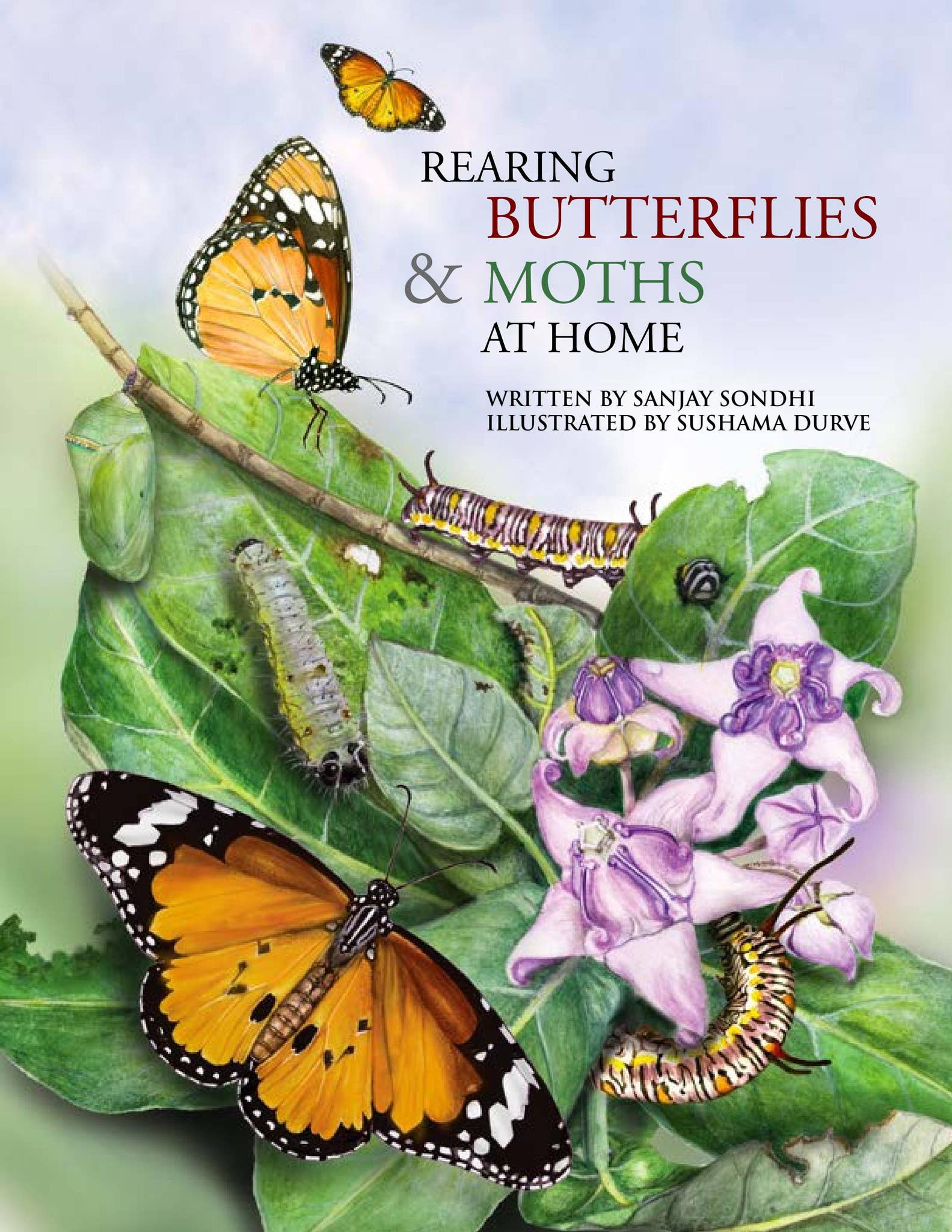 Rearing Butterflies and Moths at Home by Wipro Foundation - Issuu