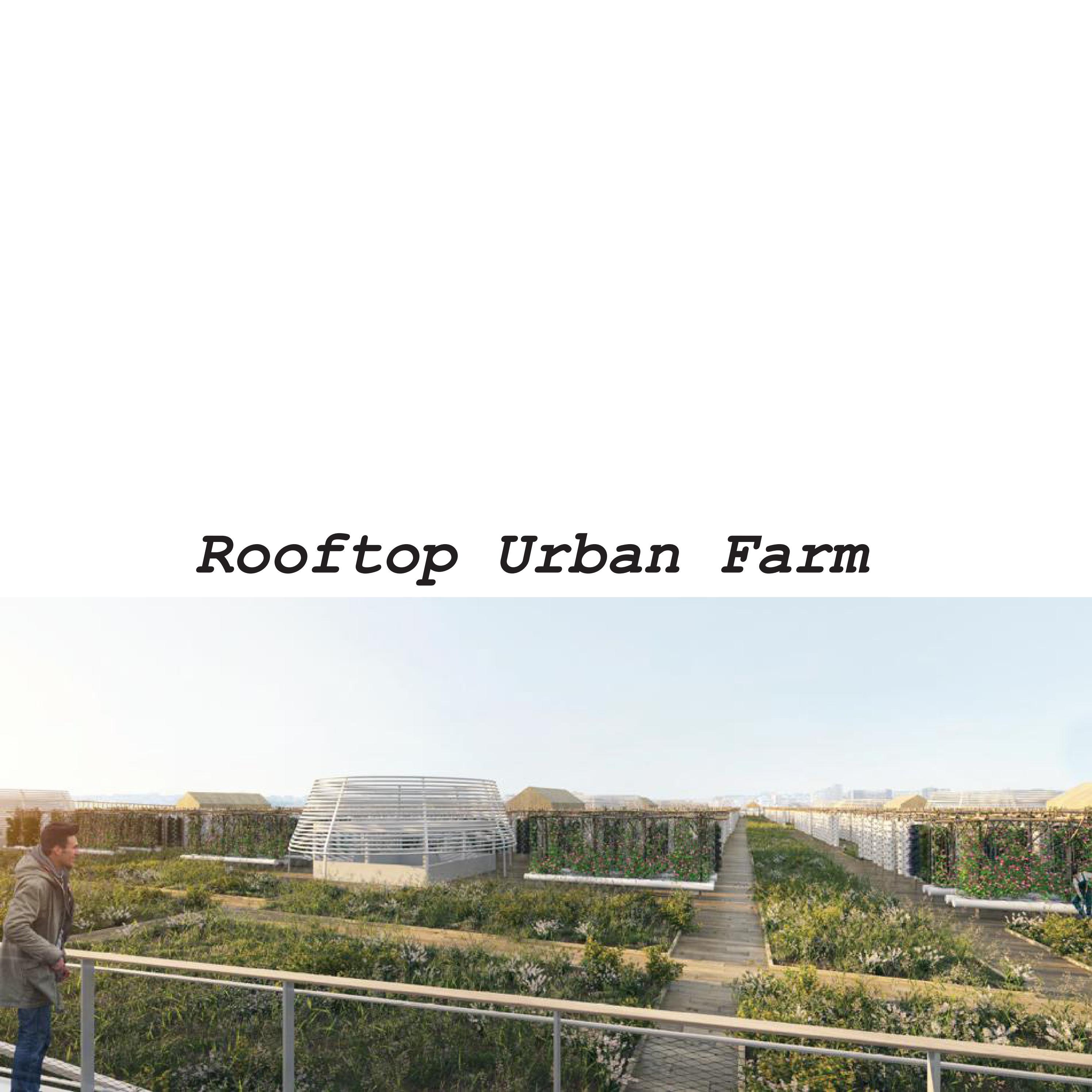 Rooftop Urban farm Research booklet by Saskia Nelson - Issuu