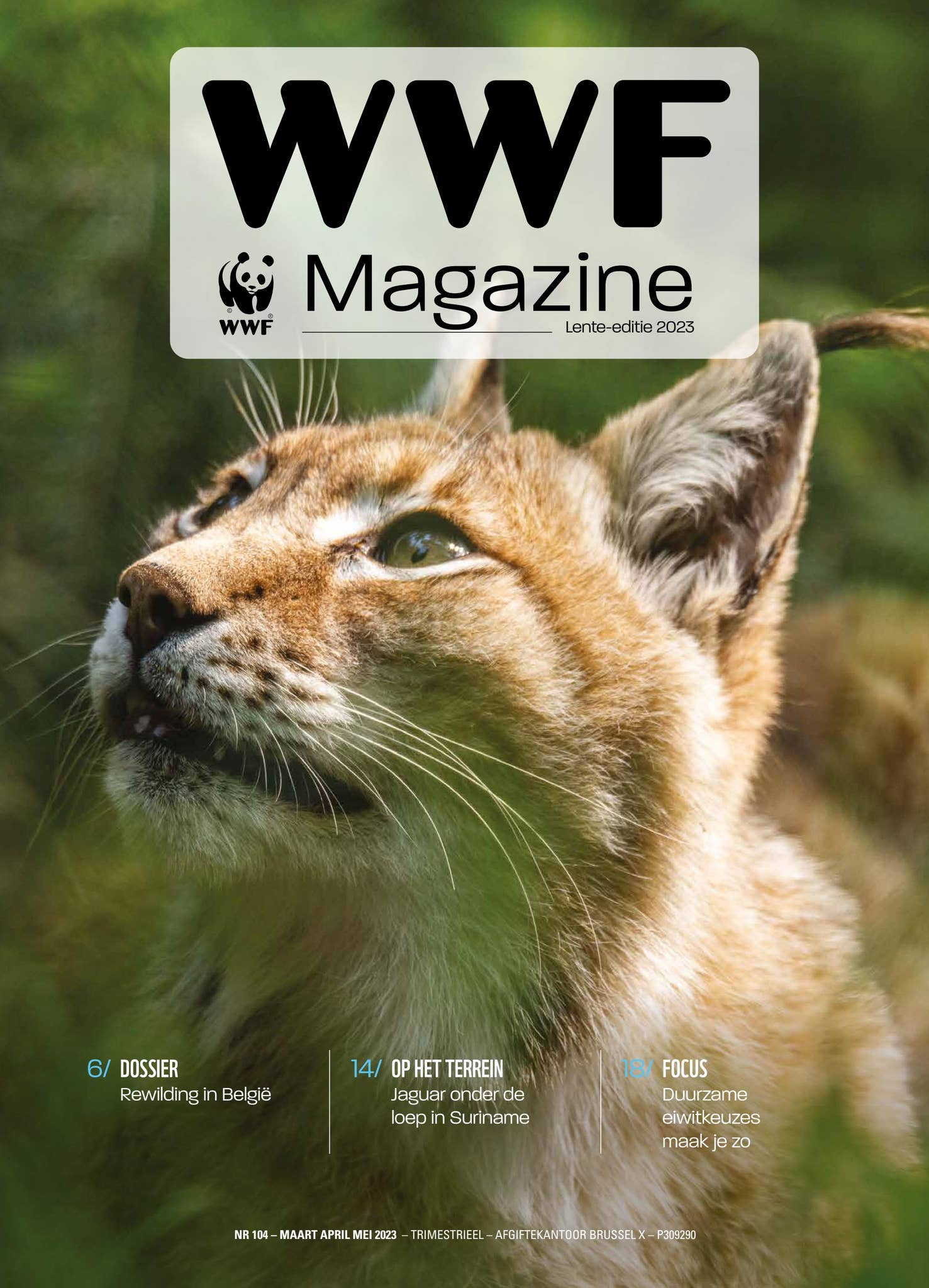WWF Magazine 104 NL by WWF-Belgium - Issuu