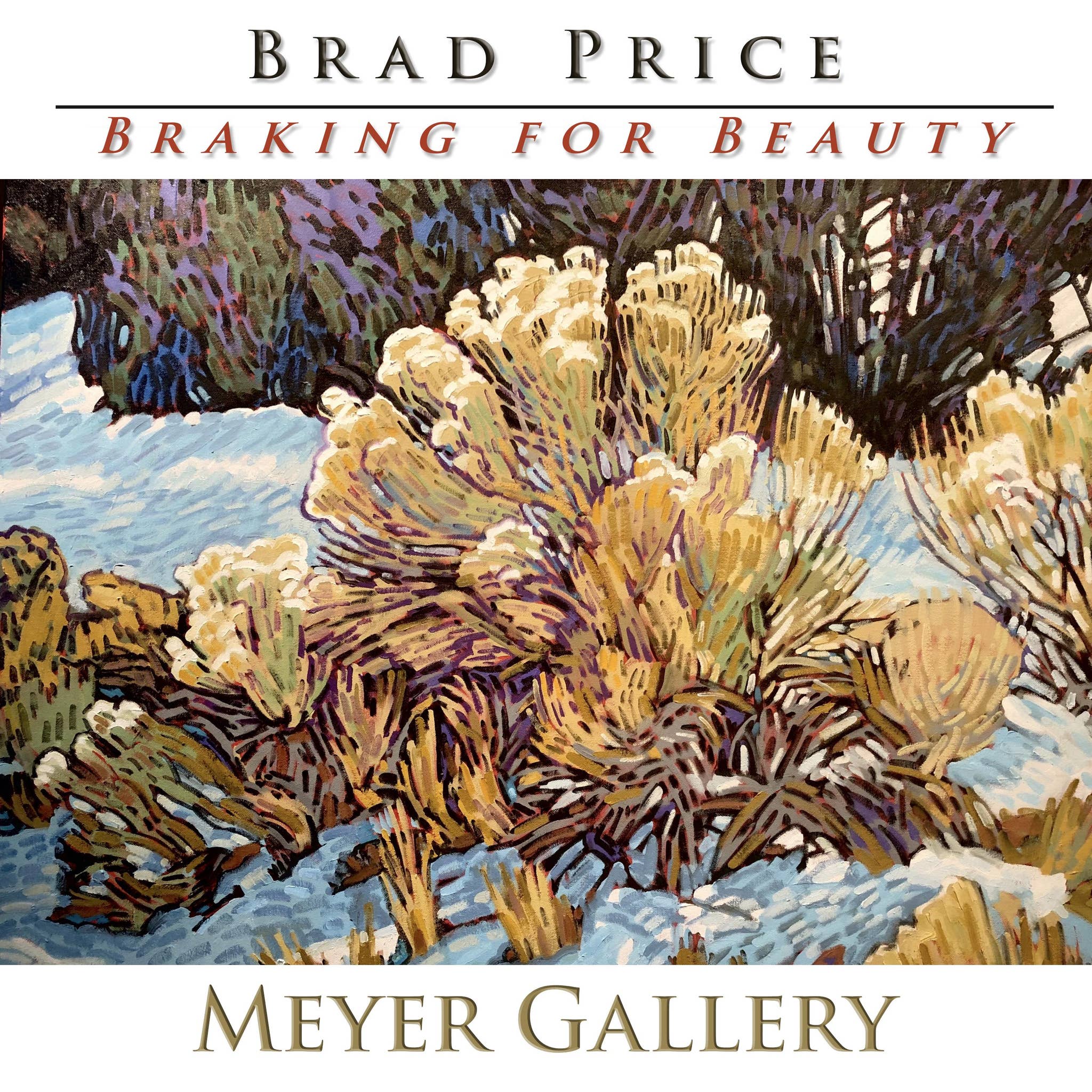 Brad Price: Braking for Beauty by Meyer Gallery - Issuu