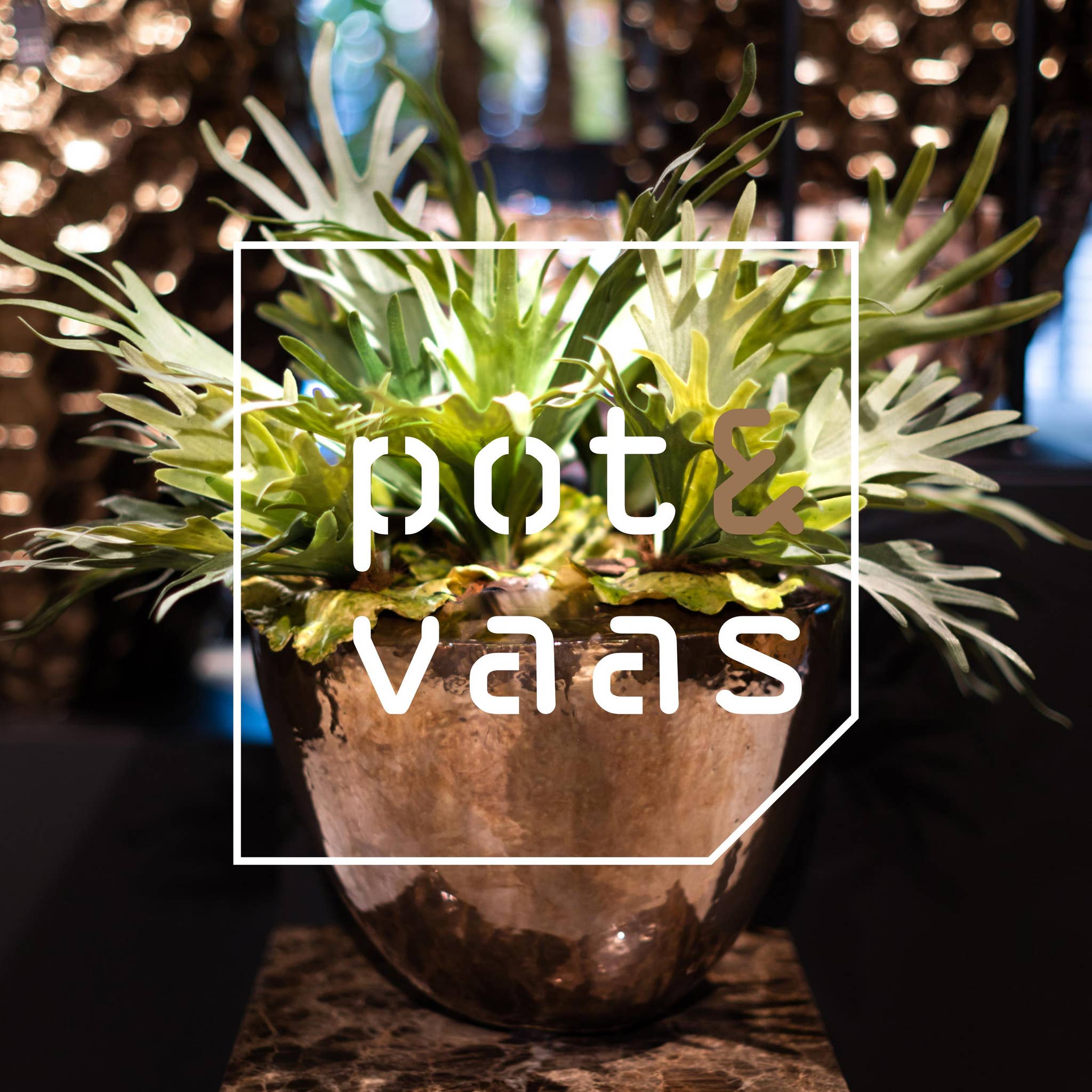 Pot & Vaas - Brochure Kantoren by Erica van der Linden - Issuu