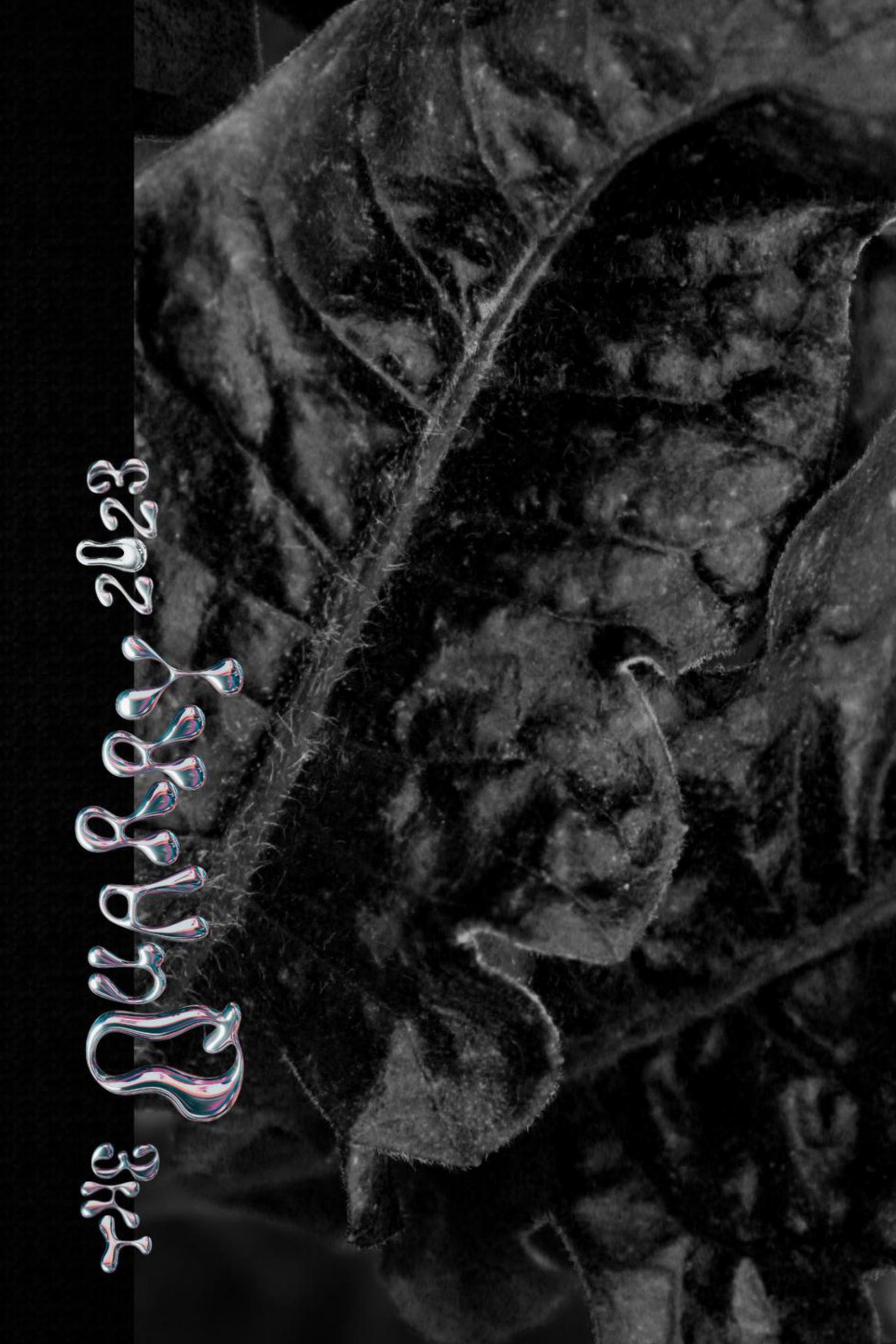 The Quarry 2023 by The Quarry Literary and Fine Arts Magazine - Issuu