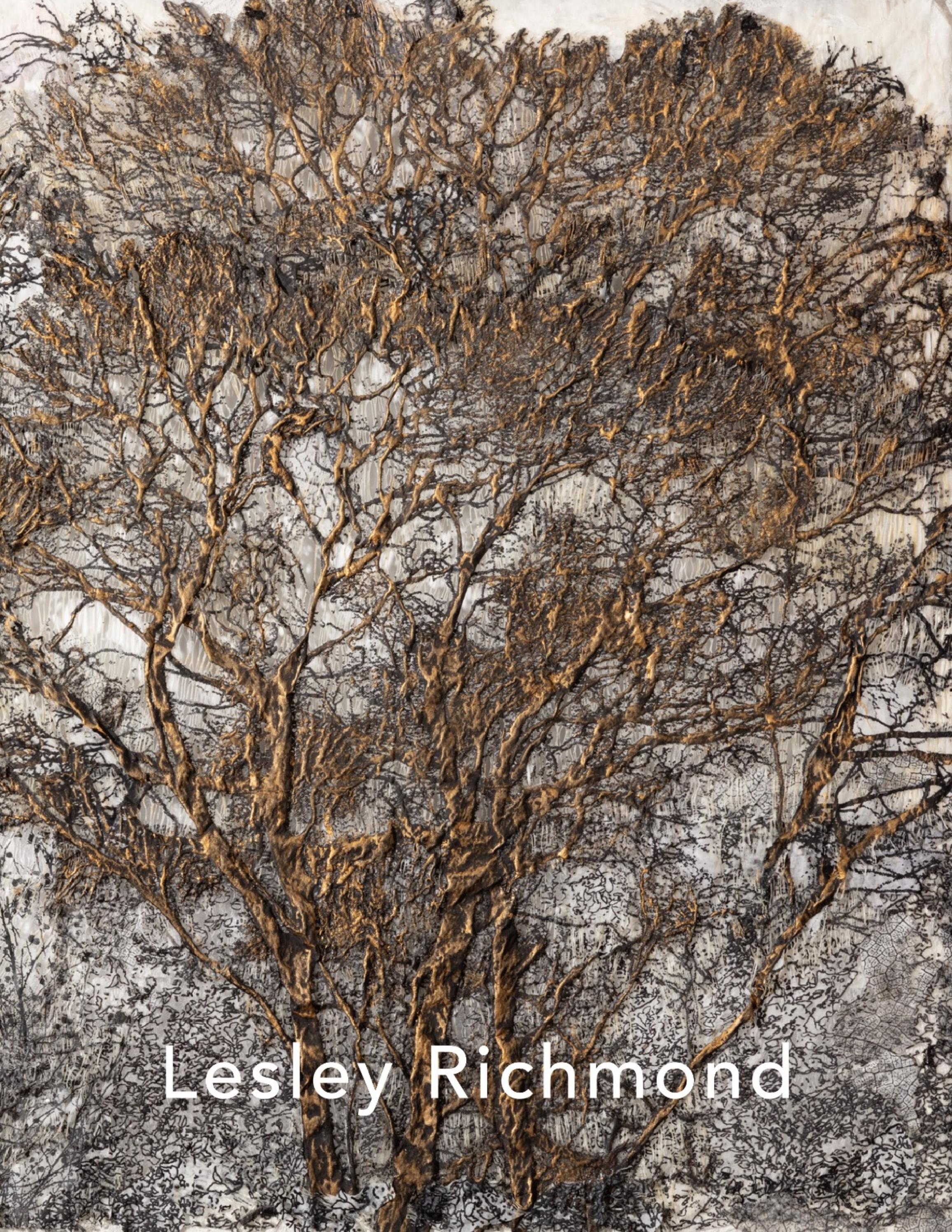 Duane Reed Gallery Presents Lesley Richmond by Duane Reed Gallery - Issuu